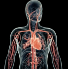 Open-and-go lessons that inspire kids to love science.