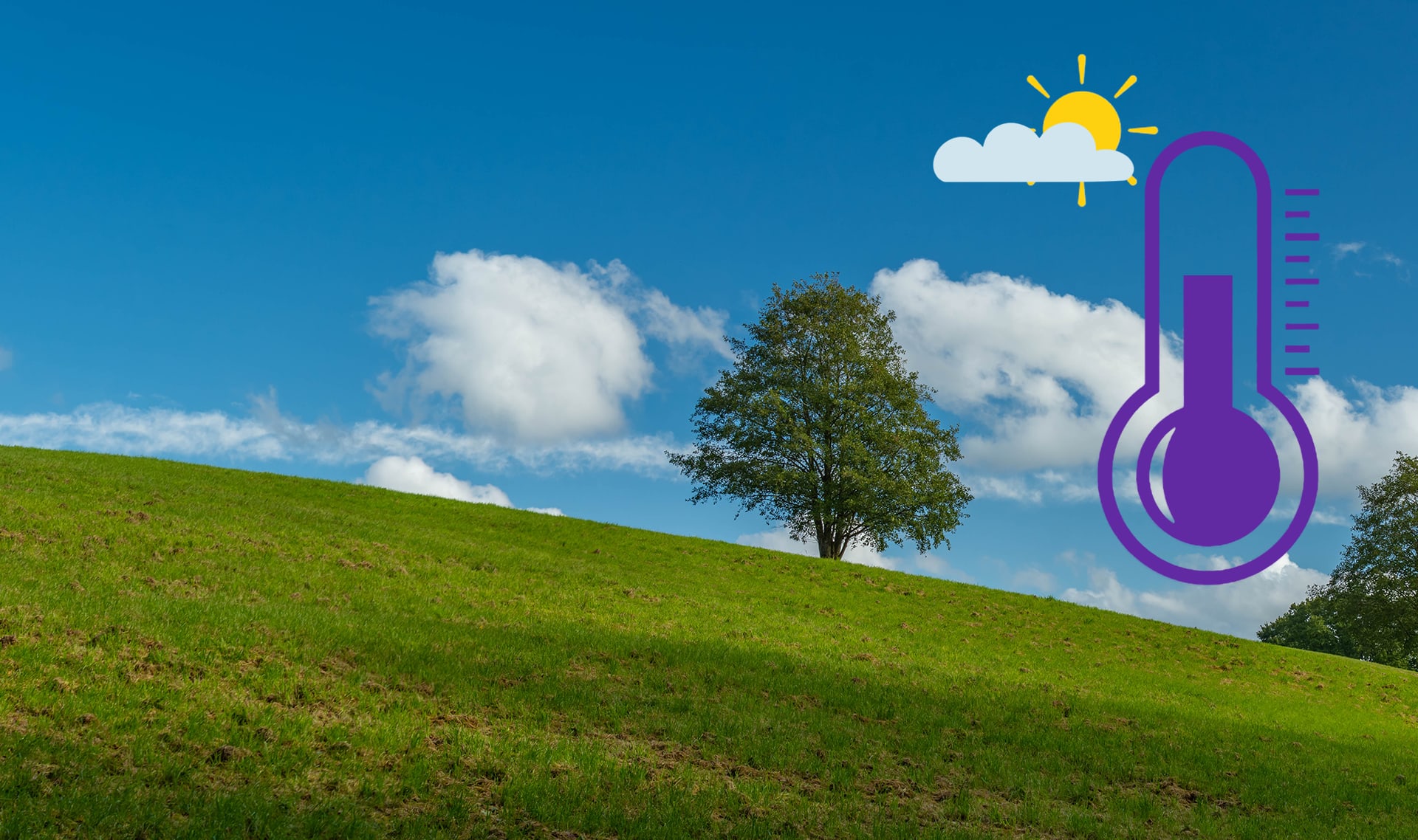 How do you know what to wear for the weather?