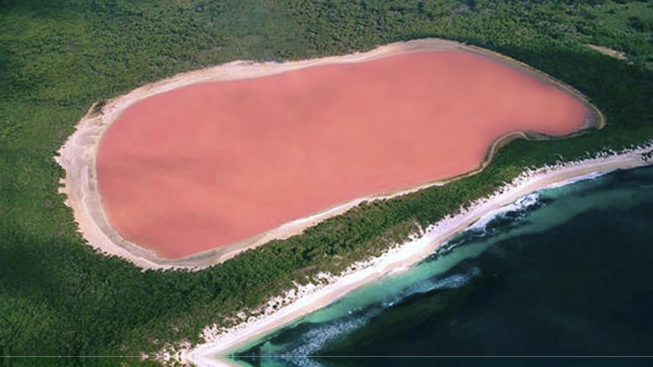 Why is the ocean salty? - Mystery Science