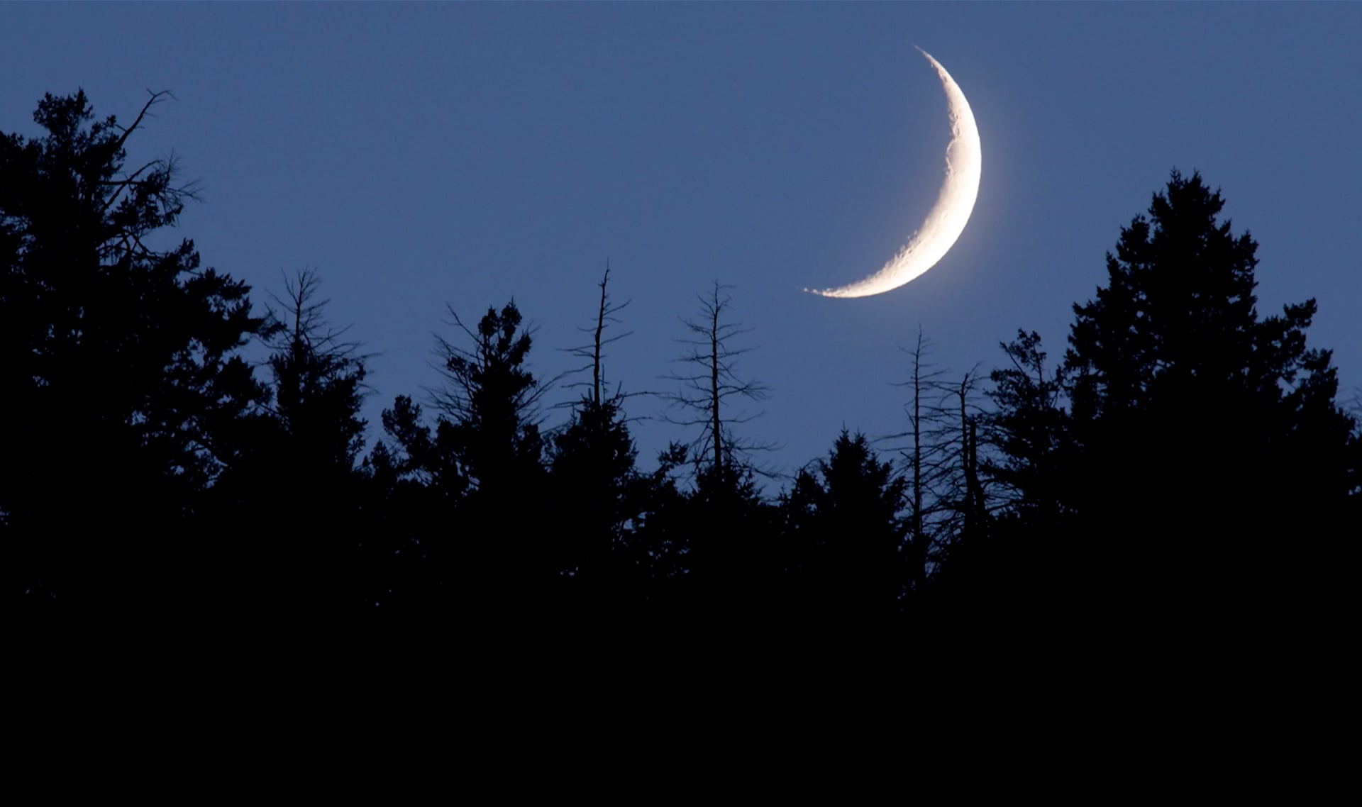 When can you see the full moon?