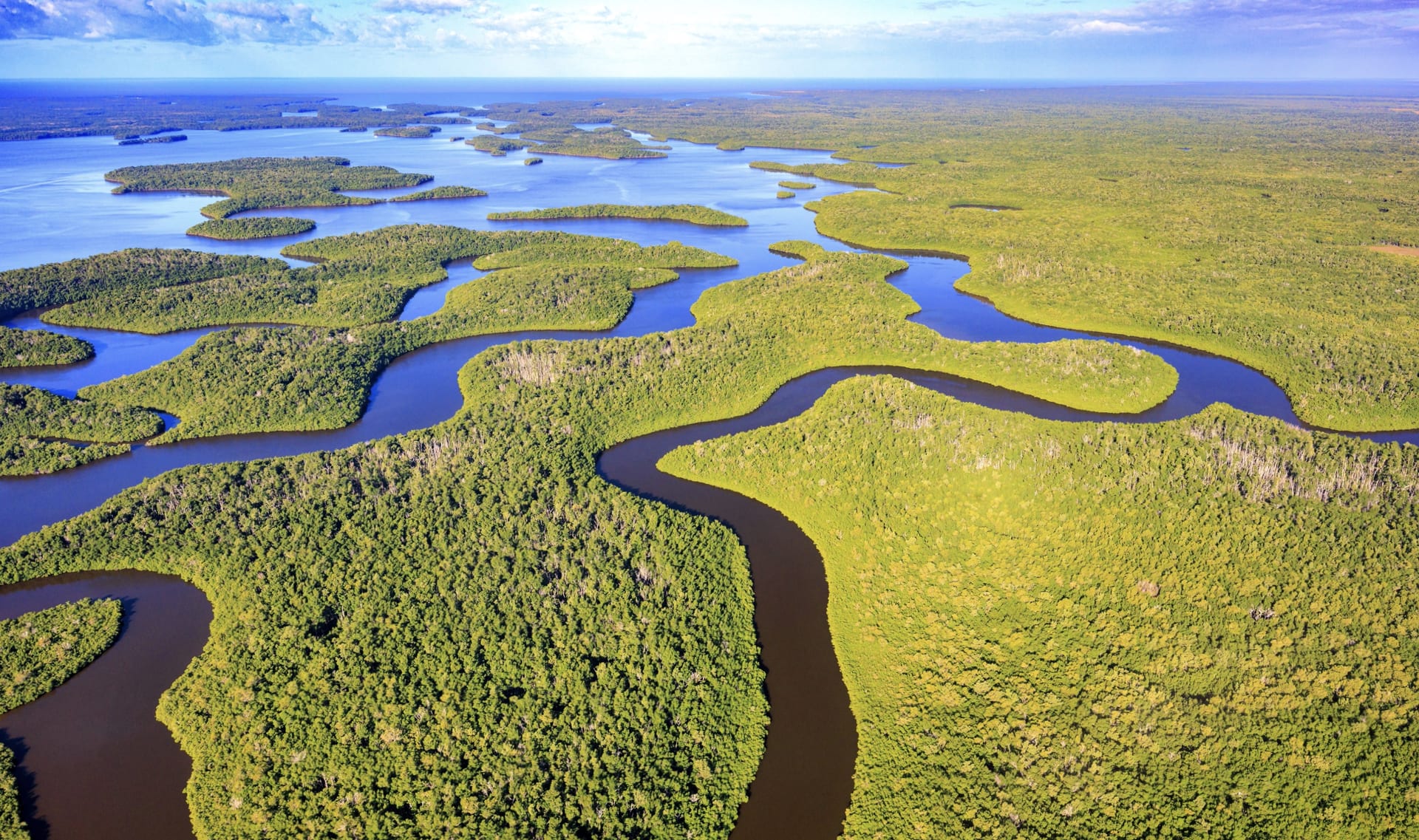 Everglades Adventure