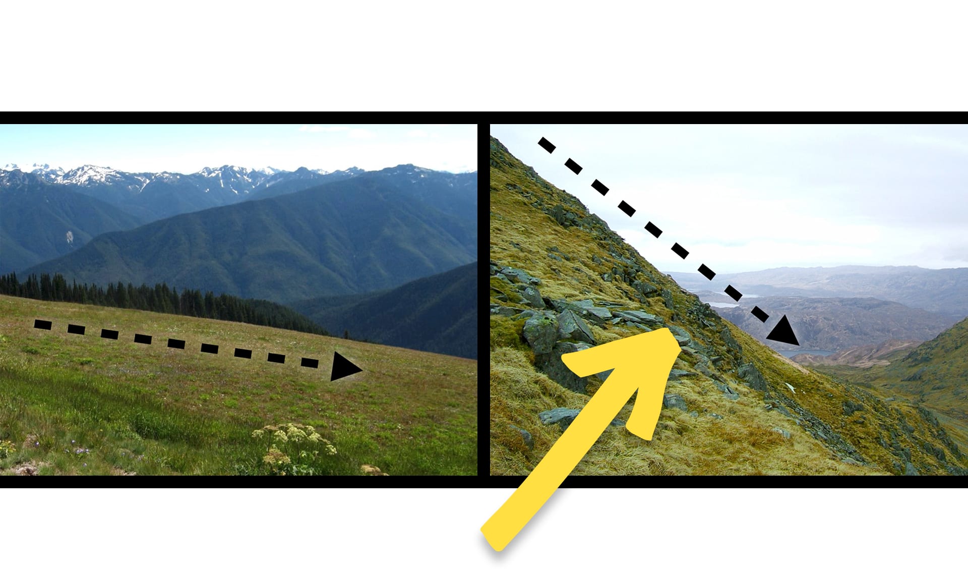 How can you stop a landslide?