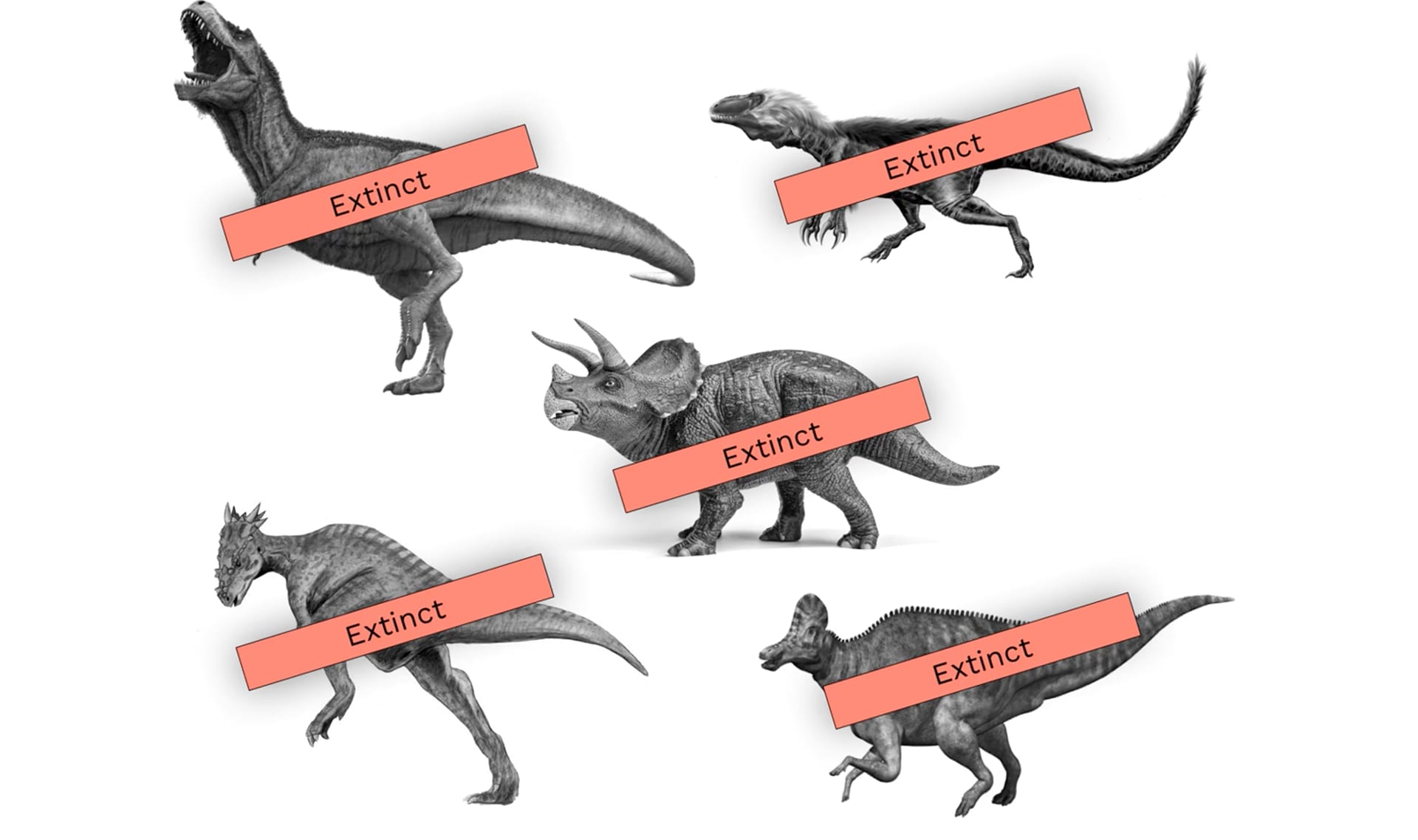 How do we know what dinosaurs looked like?