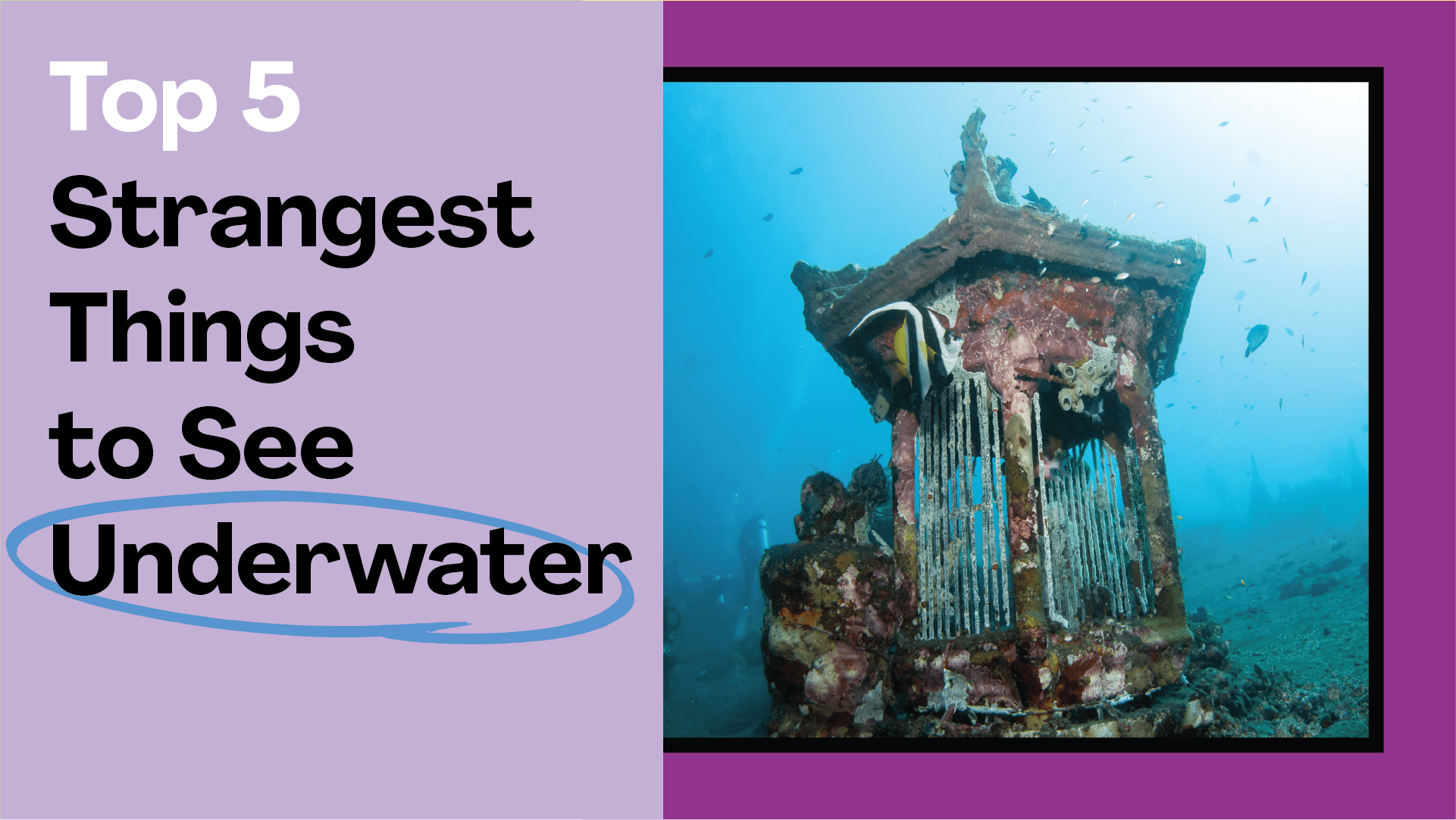 What's at the bottom of the ocean? - Mystery Science