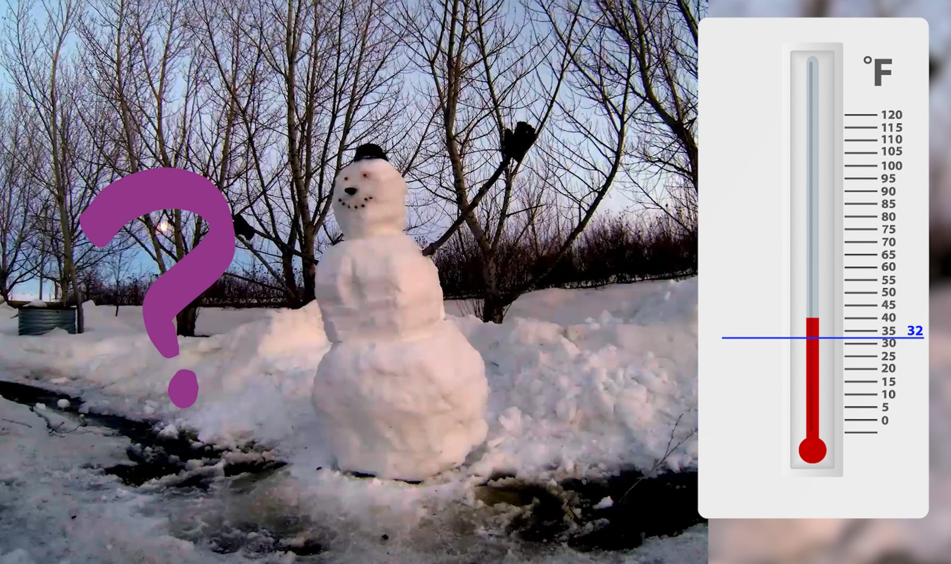 Where's the best place to build a snow fort?