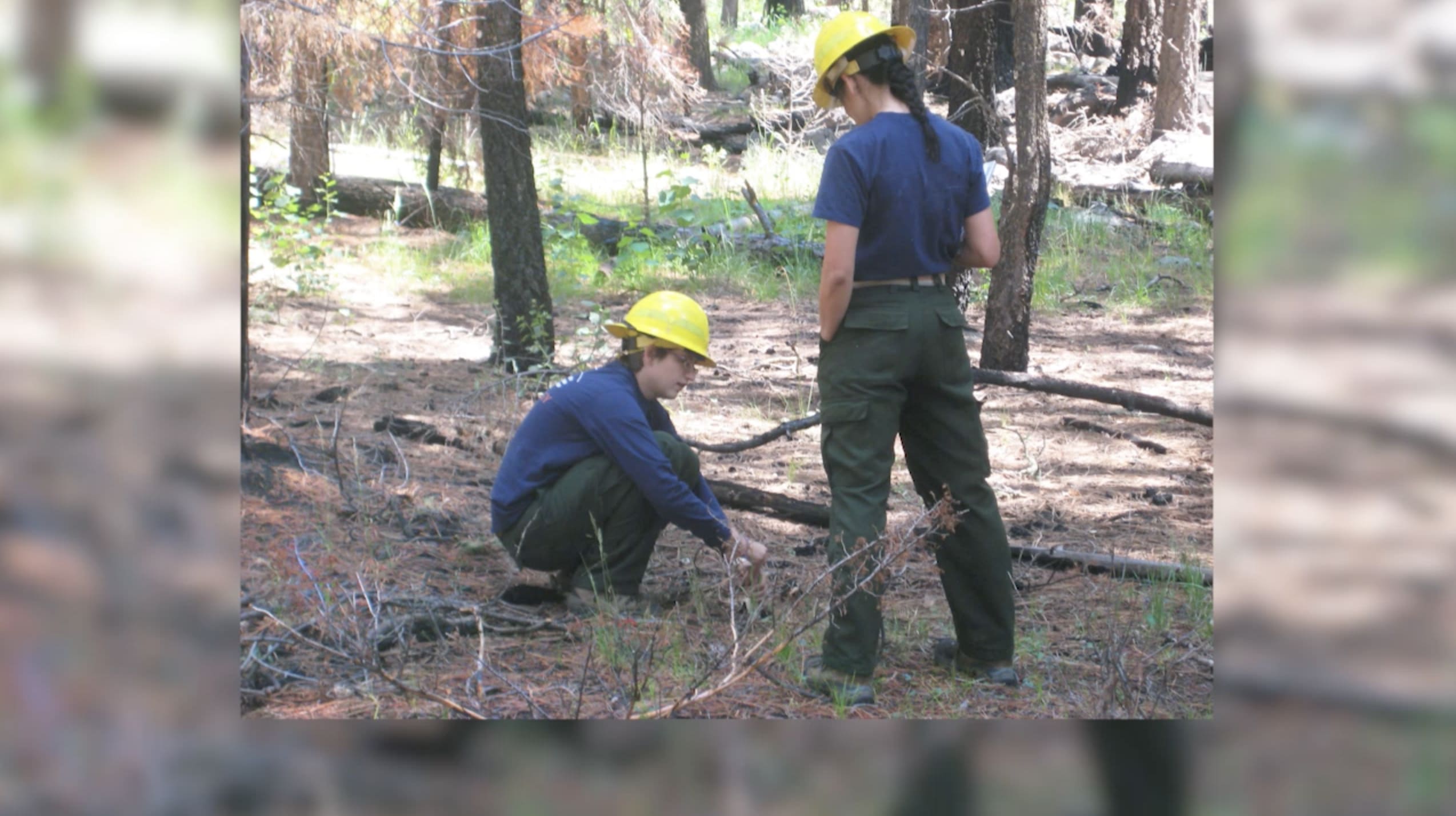Has a shooting star ever landed on someone? - Mystery Science