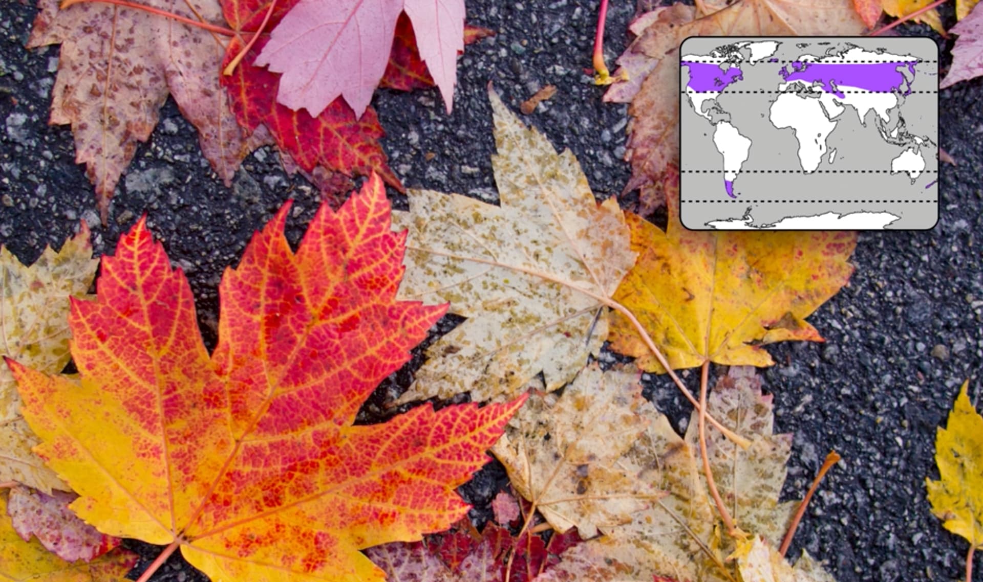 Why are some places always hot?