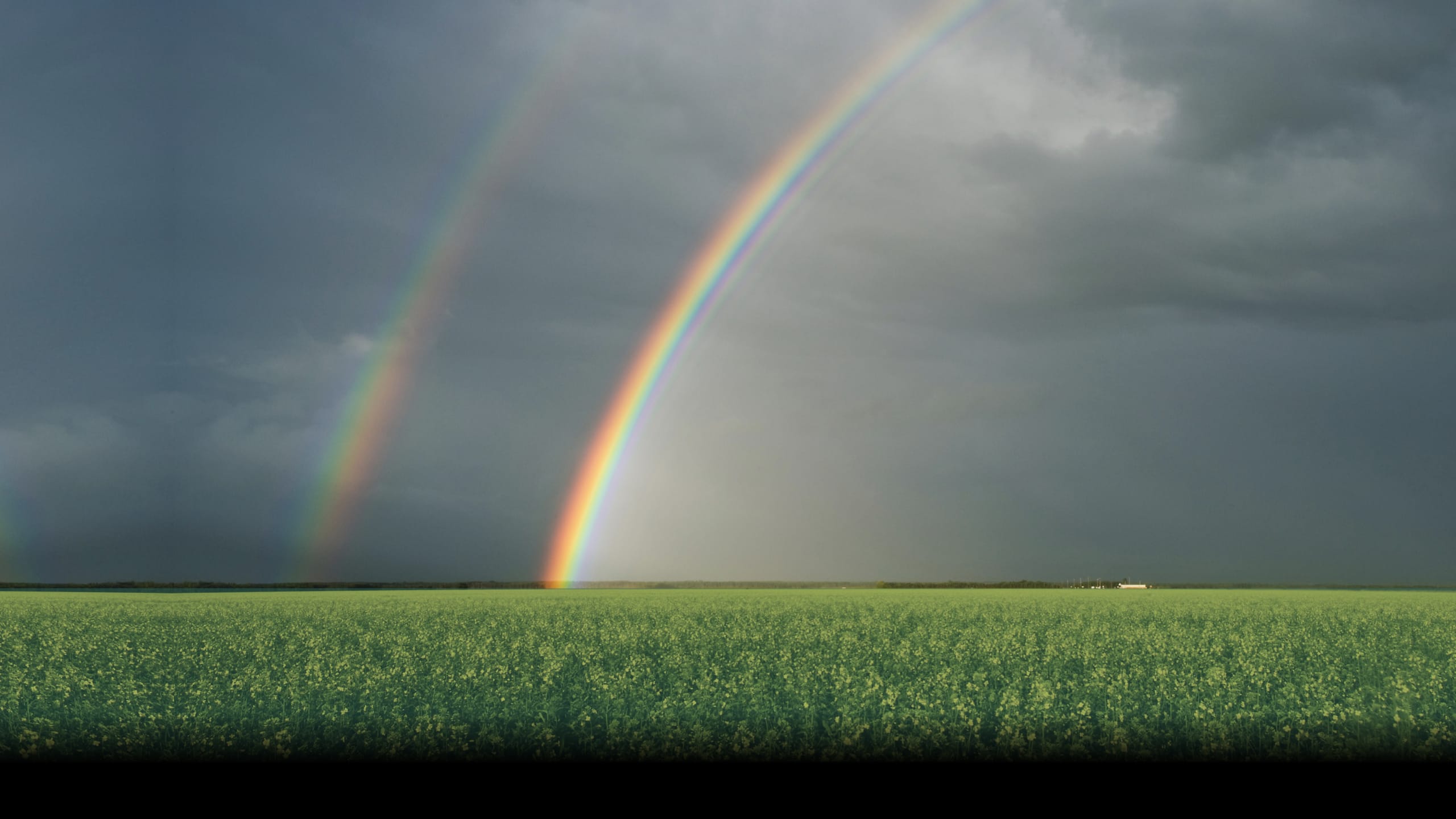 Why does the Moon turn blood red during a lunar eclipse? - Mystery Science