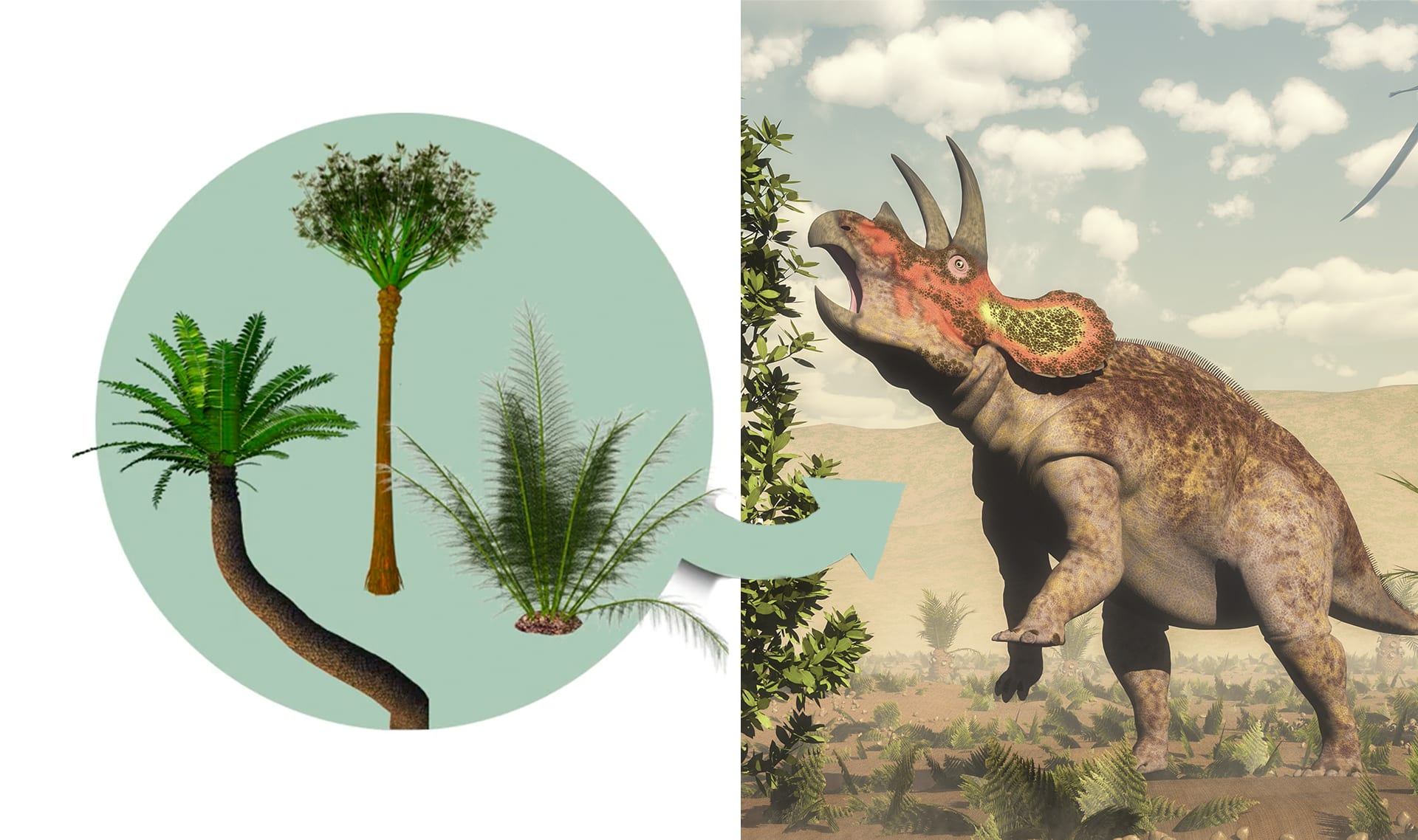 Why did the dinosaurs go extinct?