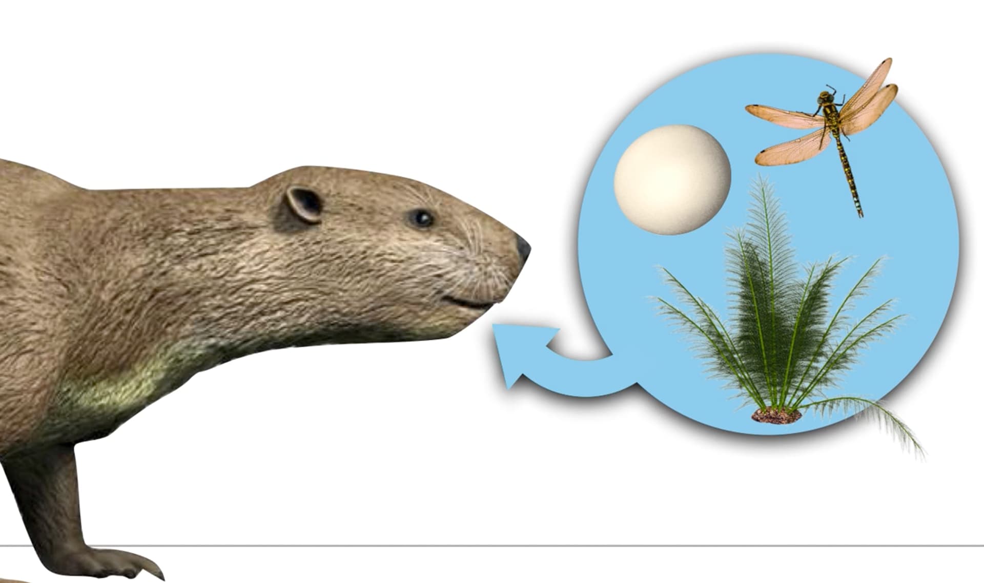 Why did the dinosaurs go extinct?