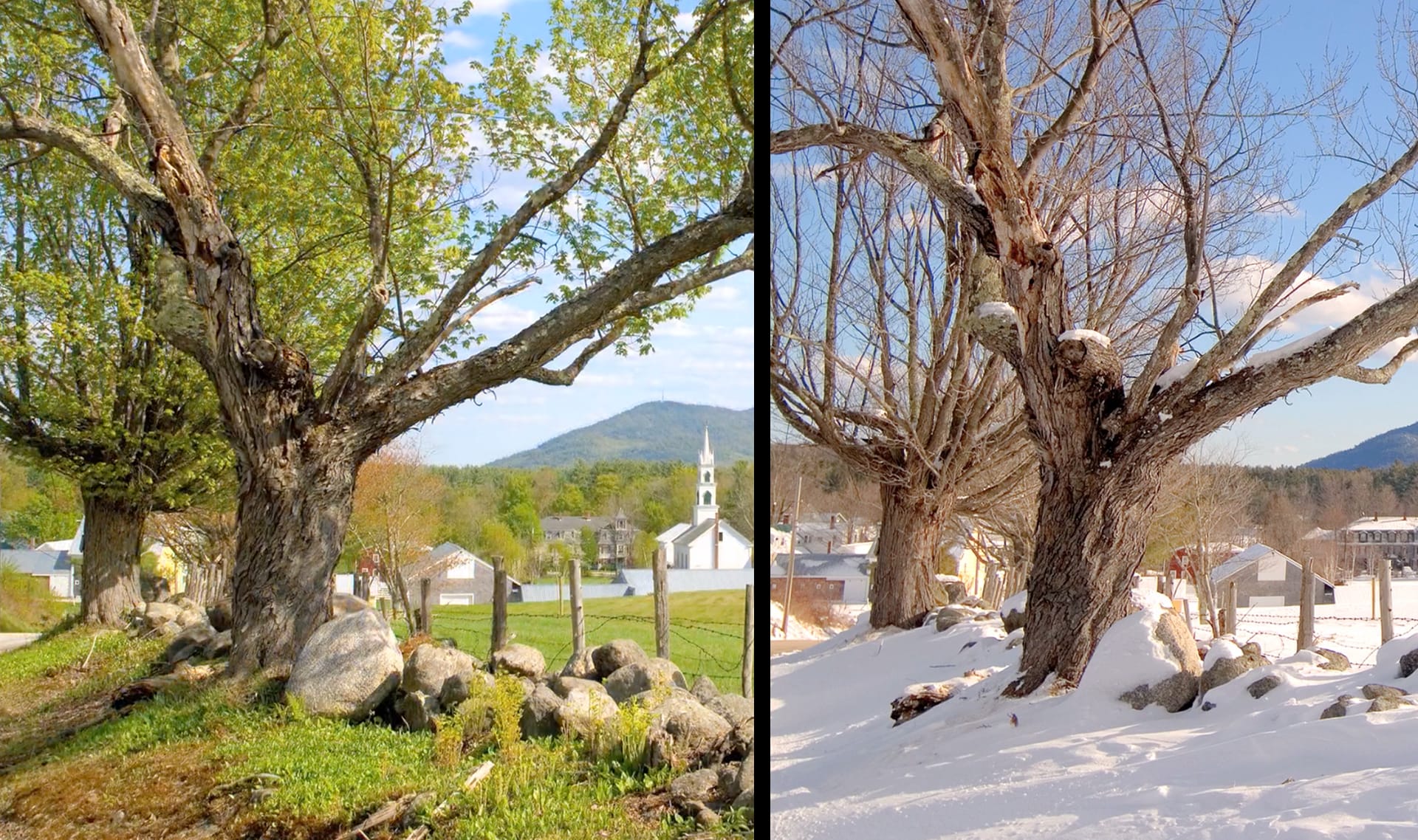 Why does it get cold in winter?