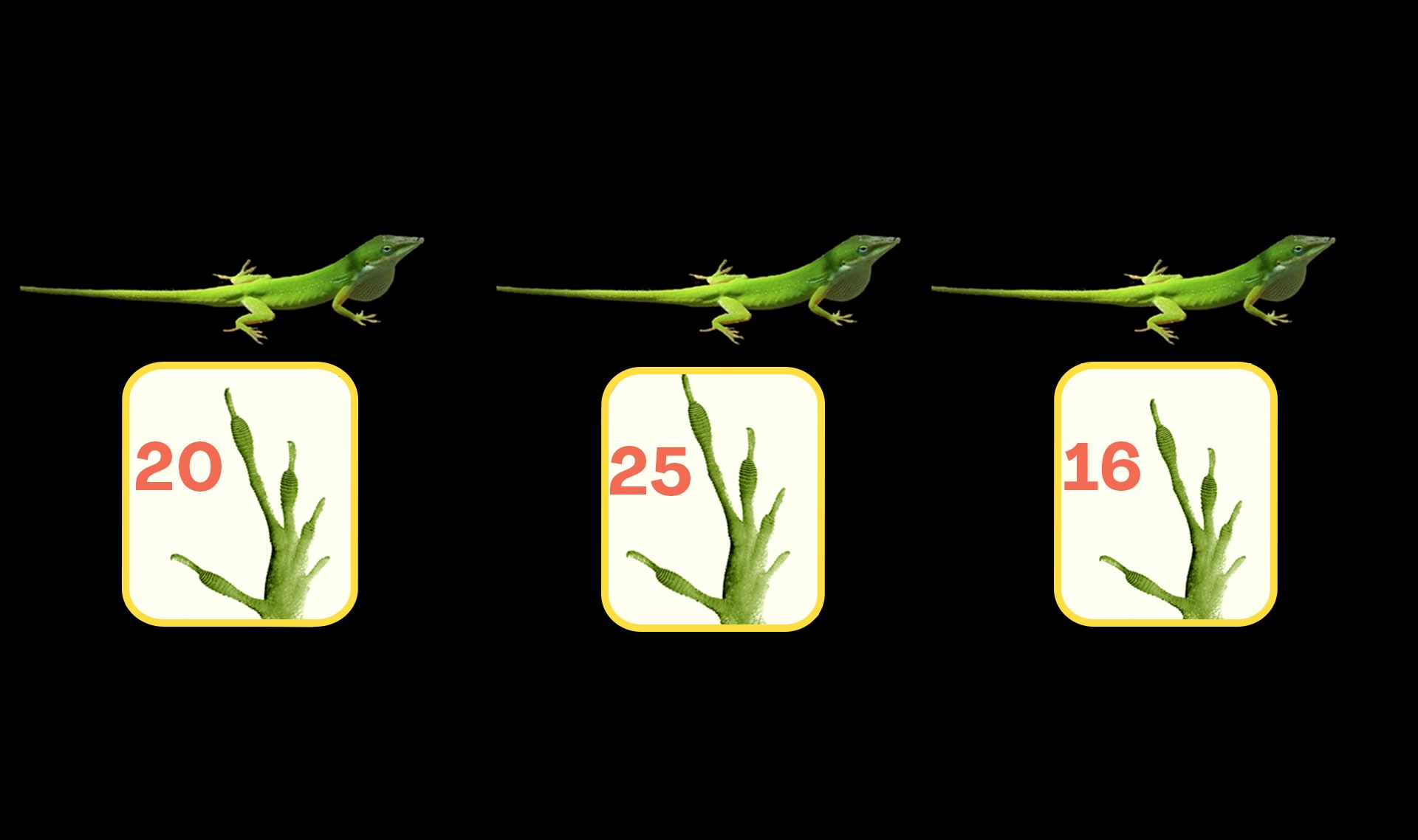 Can selection happen without people?