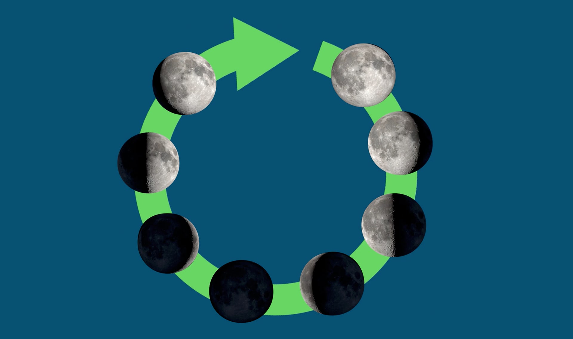 When can you see the full moon?