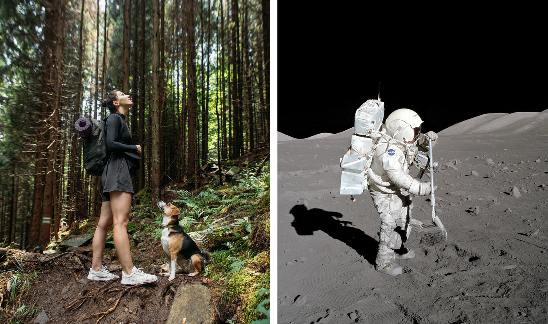 How long can people (and animals) survive in outer space?