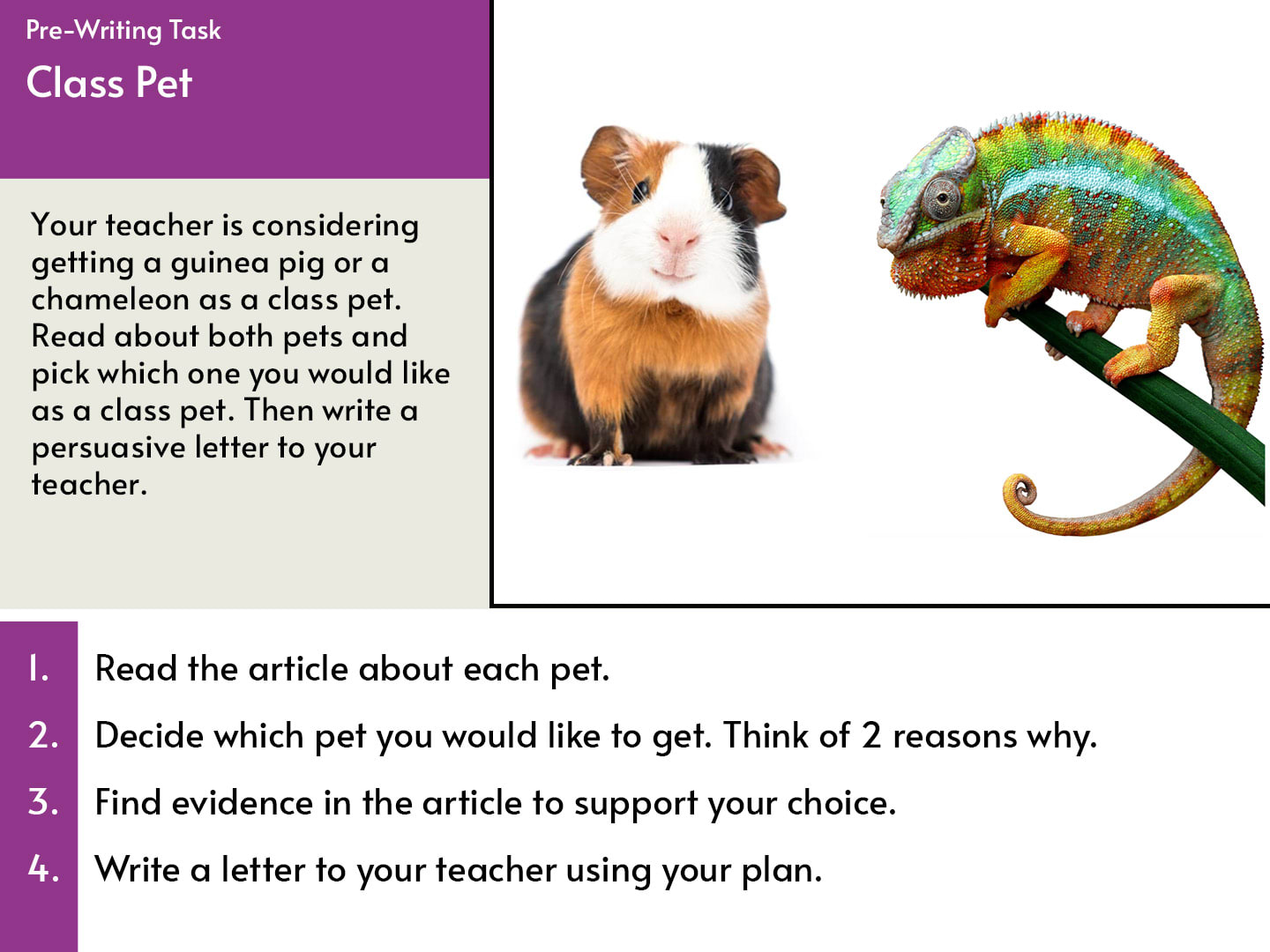 Class Pet