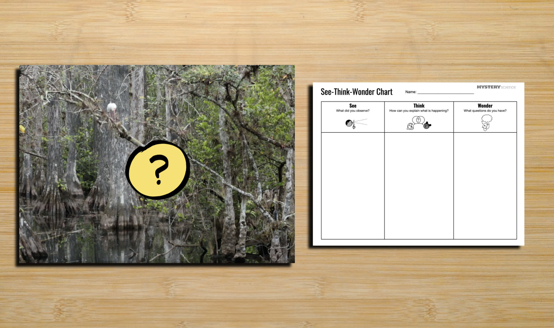 Everglades Adventure