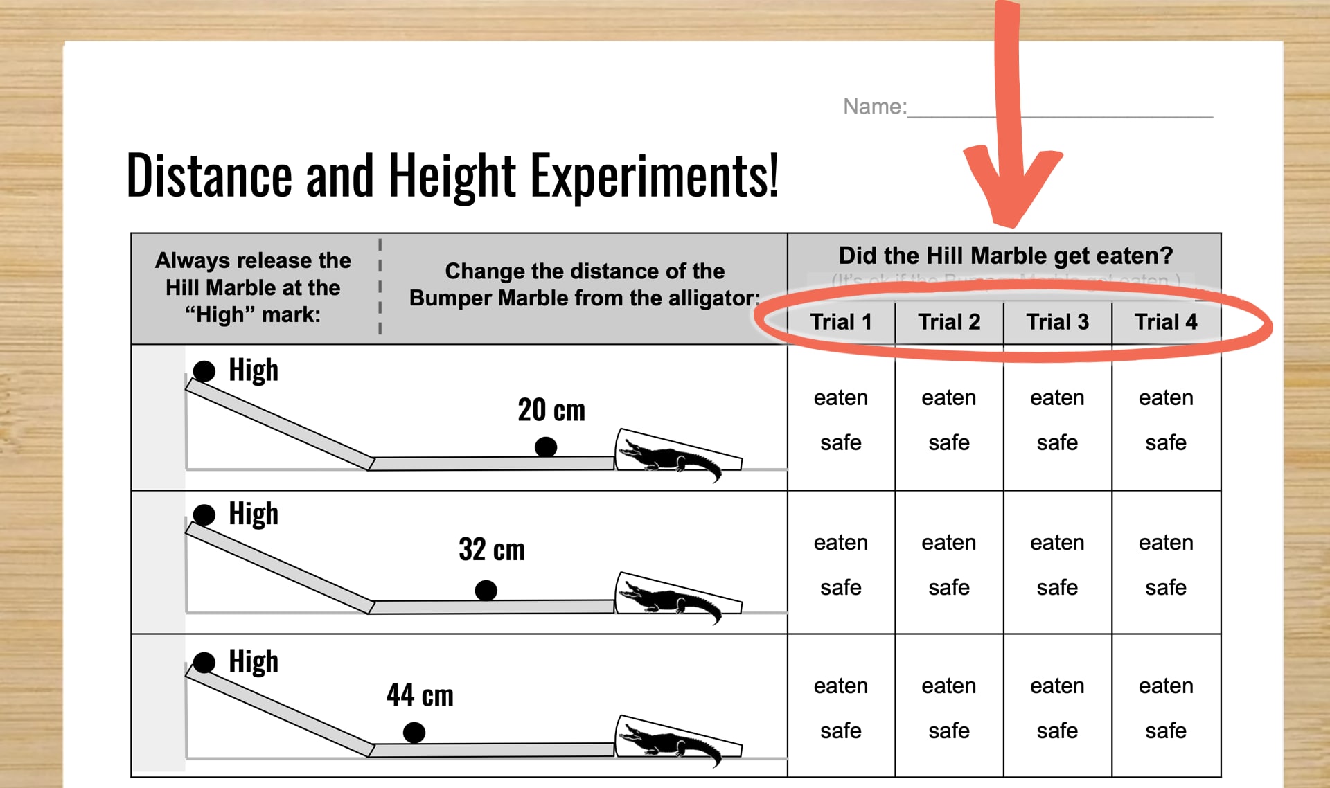 What makes roller coasters go so fast?
