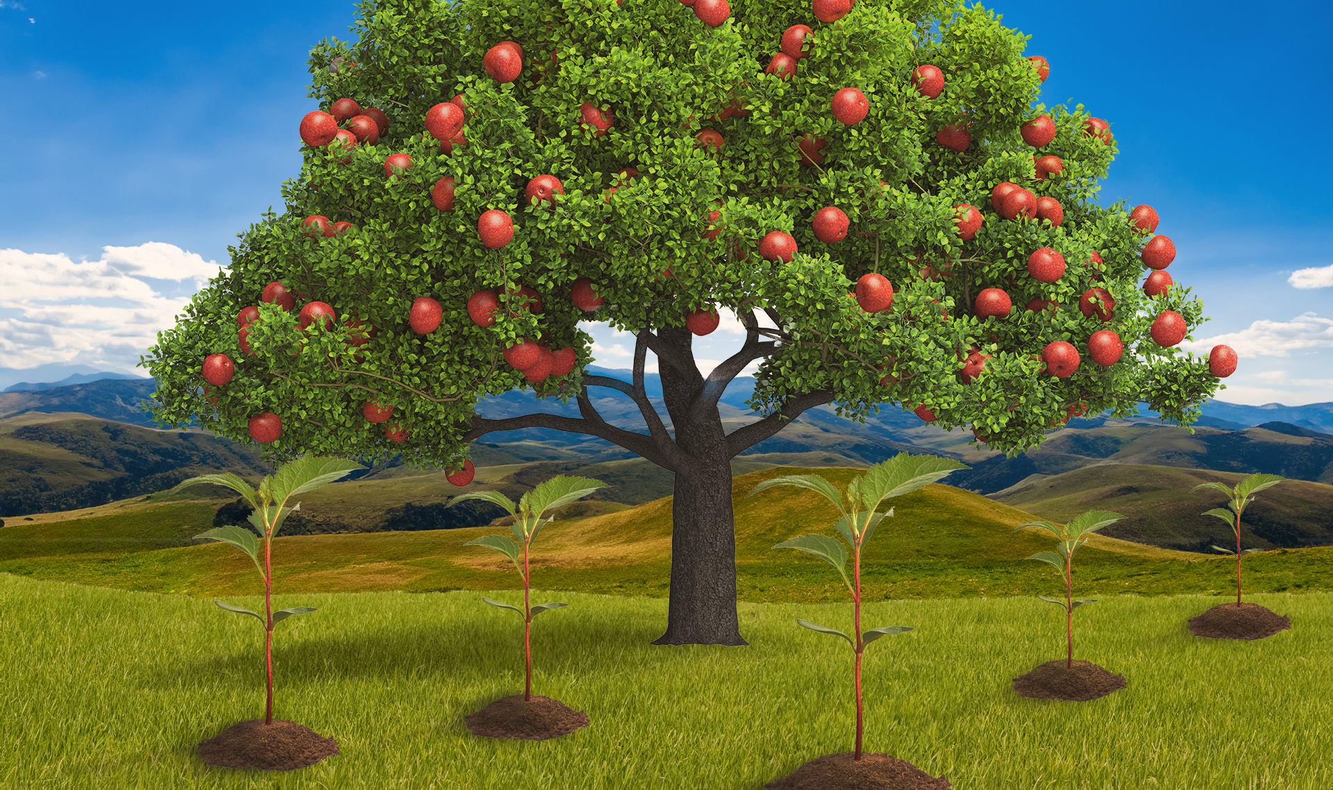 Why do plants give us fruit?