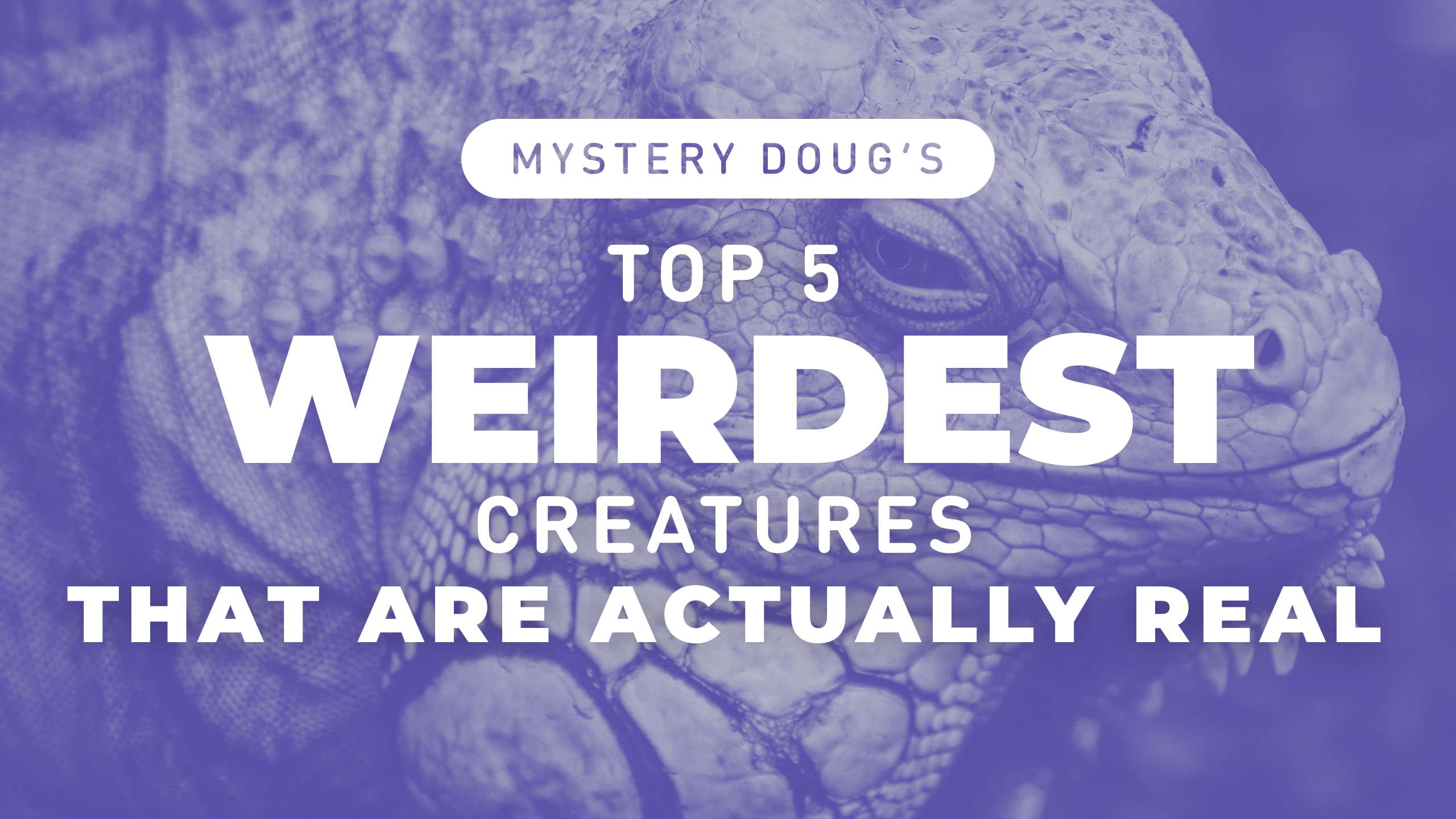 Were dragons ever real? - Mystery Science