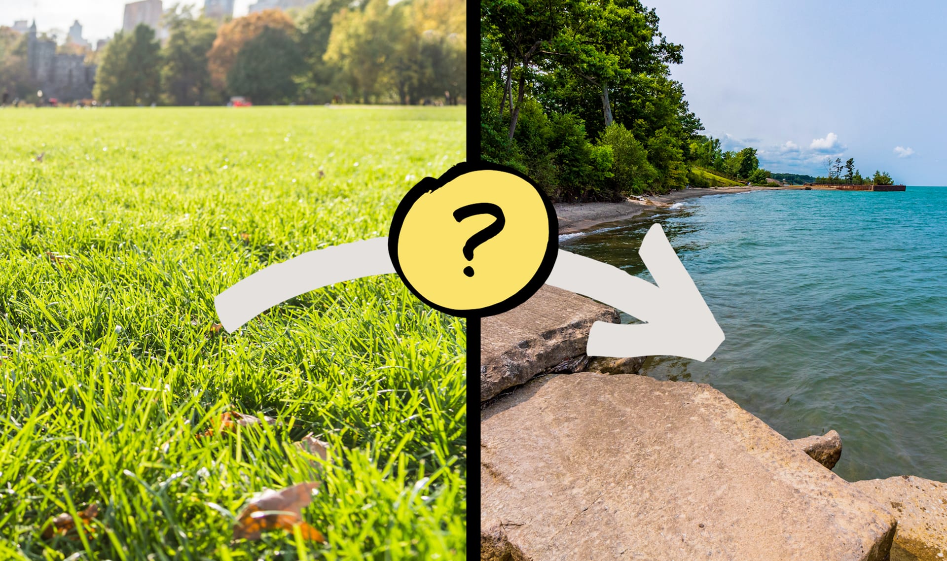 How can we protect Earth's environments?