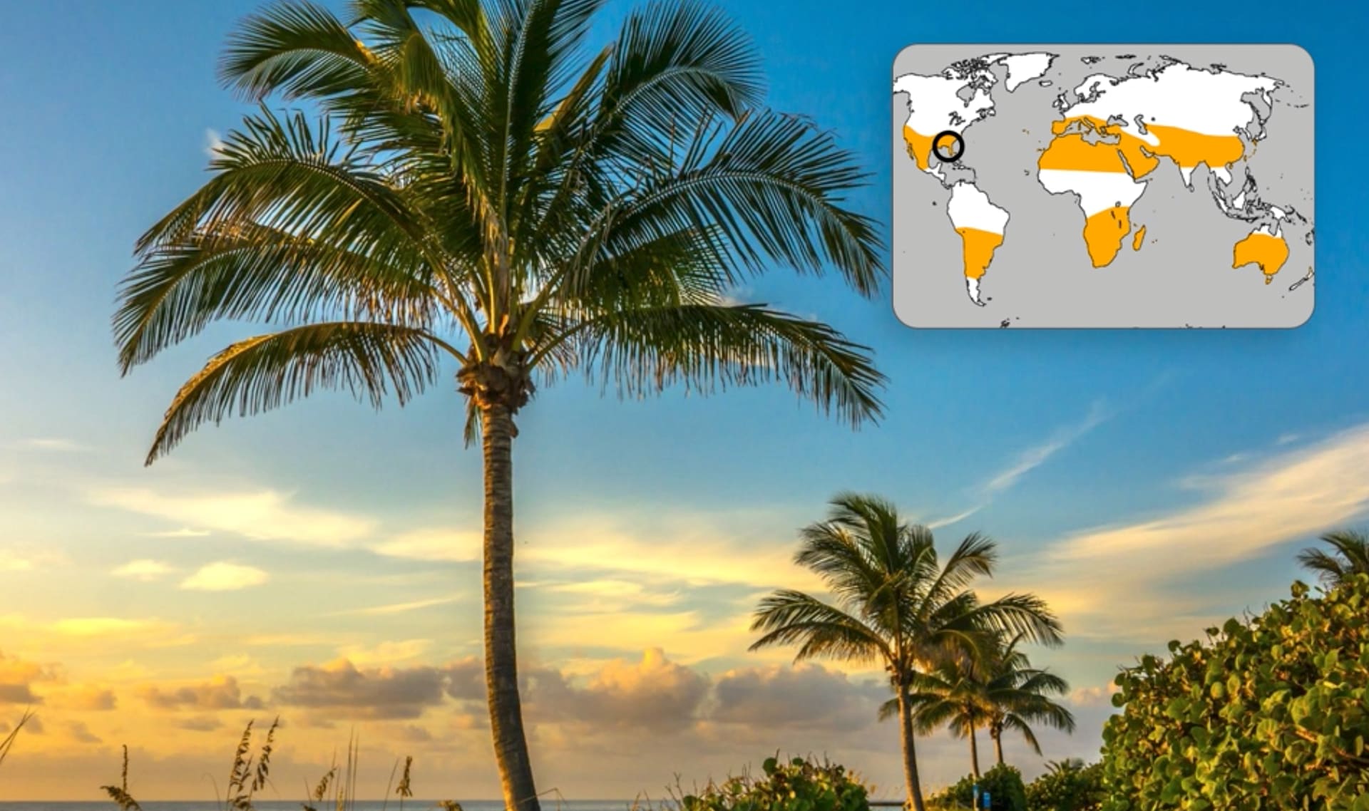 Why are some places always hot?