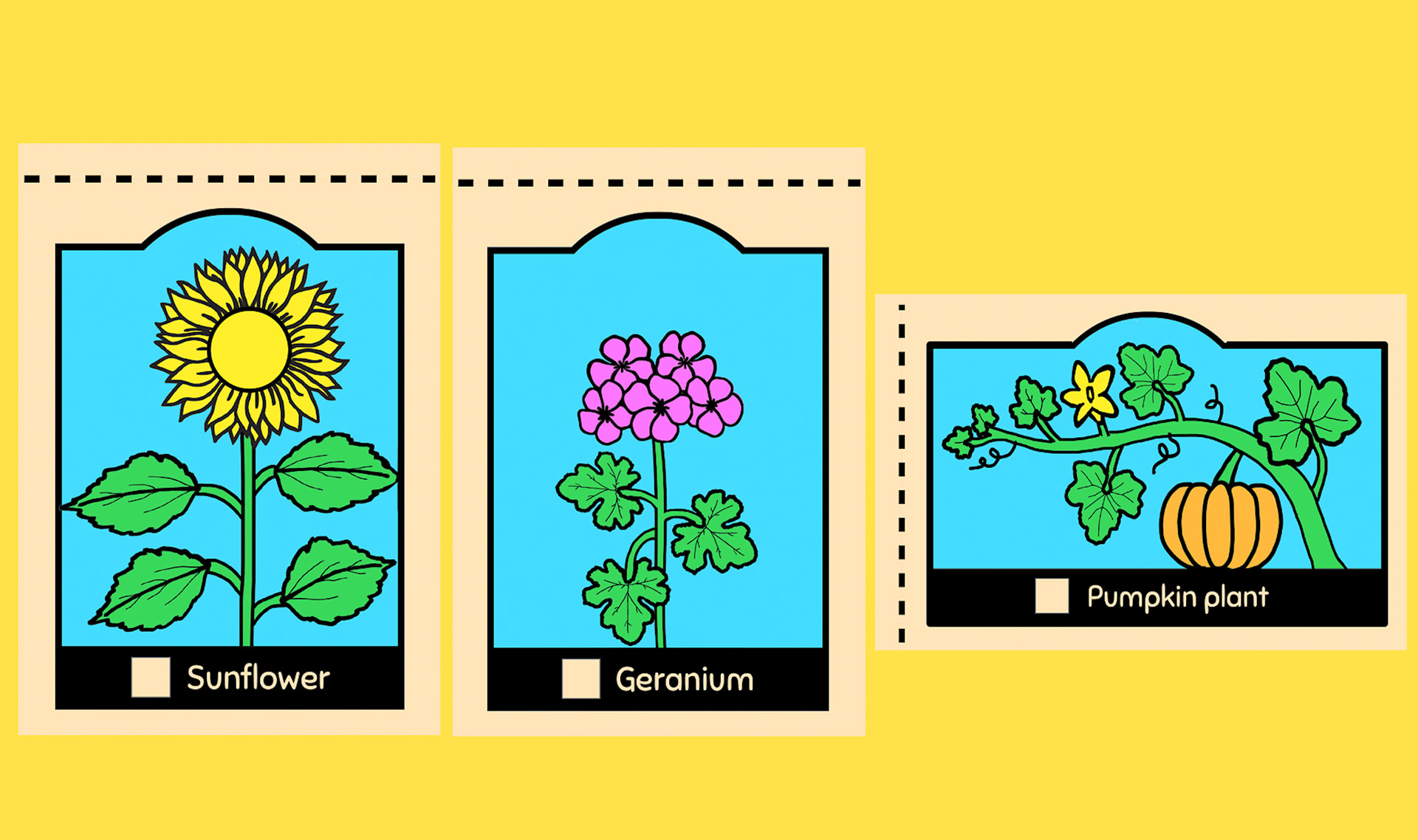 What will a baby plant look like when it grows up?