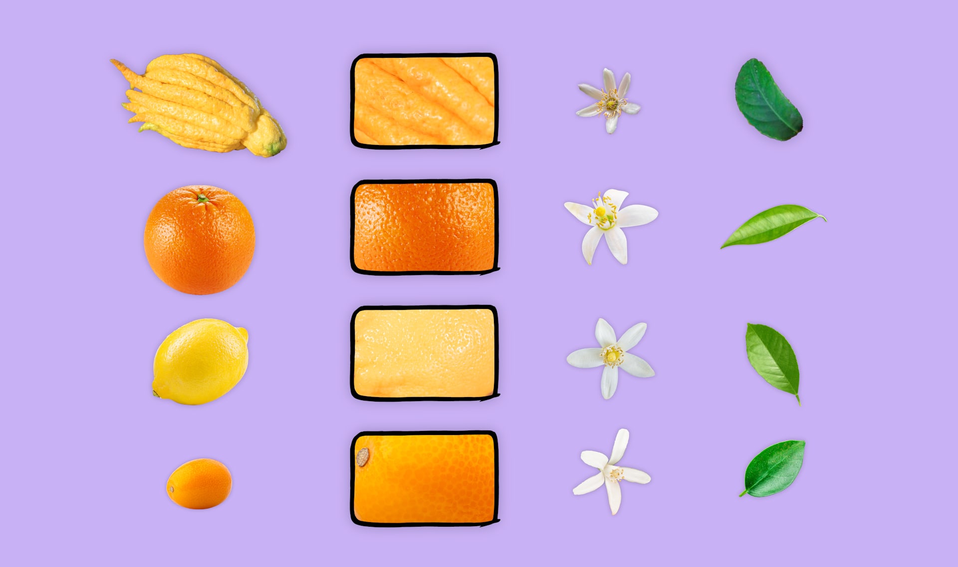 How do you identify a mysterious fruit?