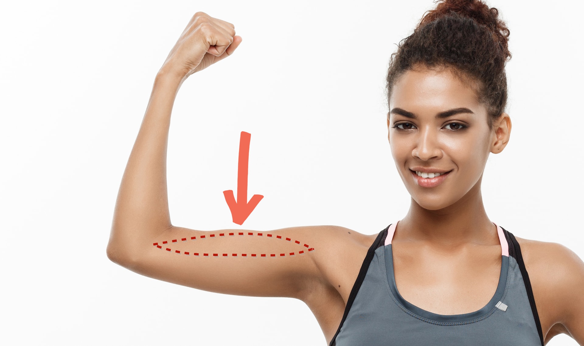 Why do your biceps bulge?