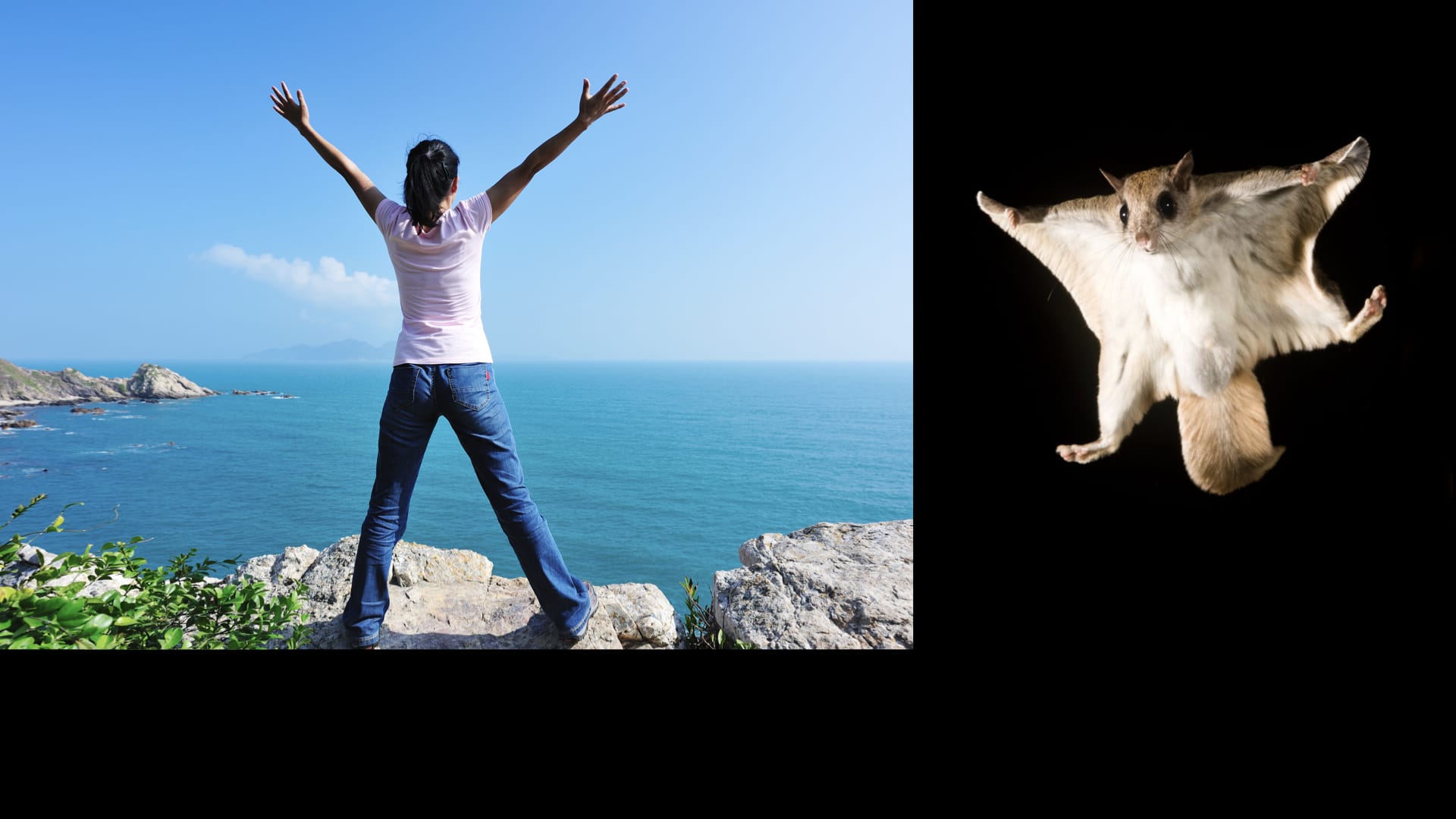 Has a shooting star ever landed on someone? - Mystery Science