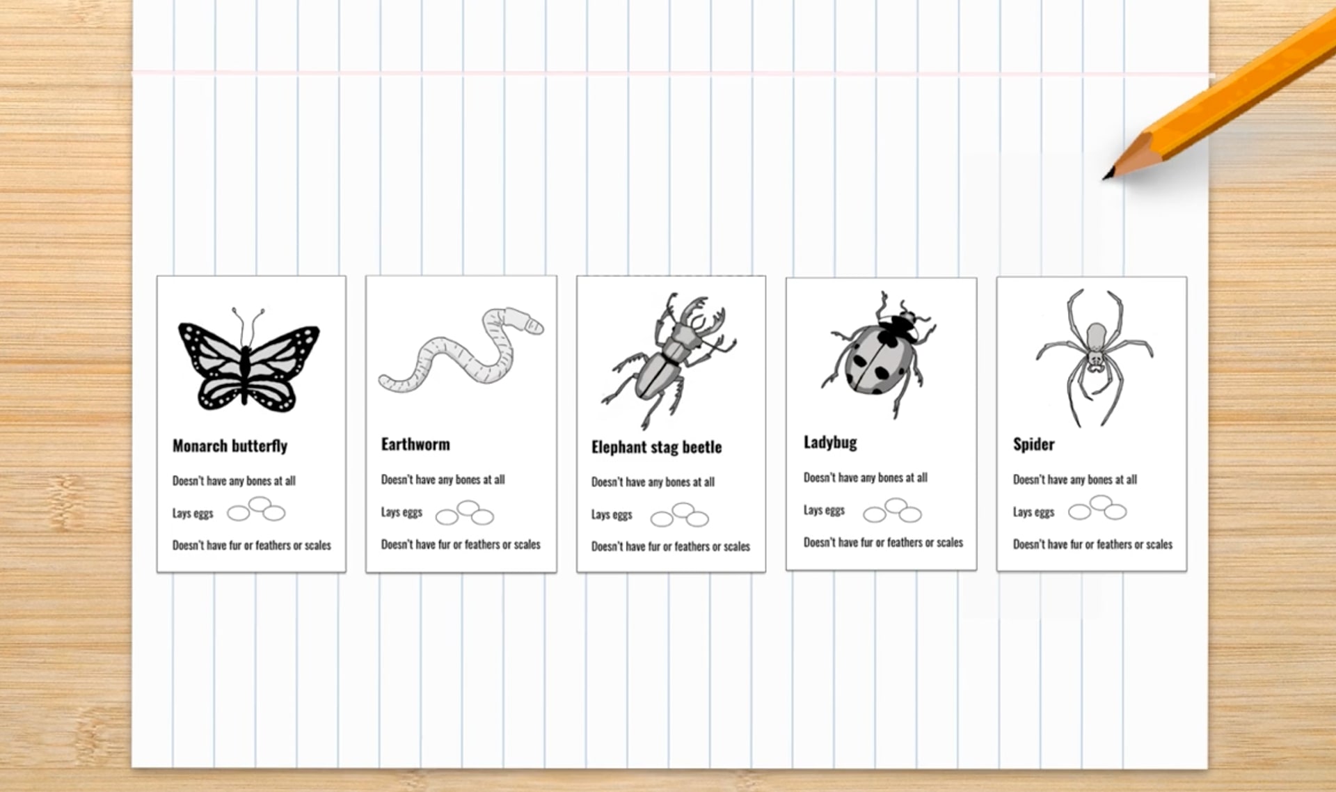 How many different kinds of animals are there?