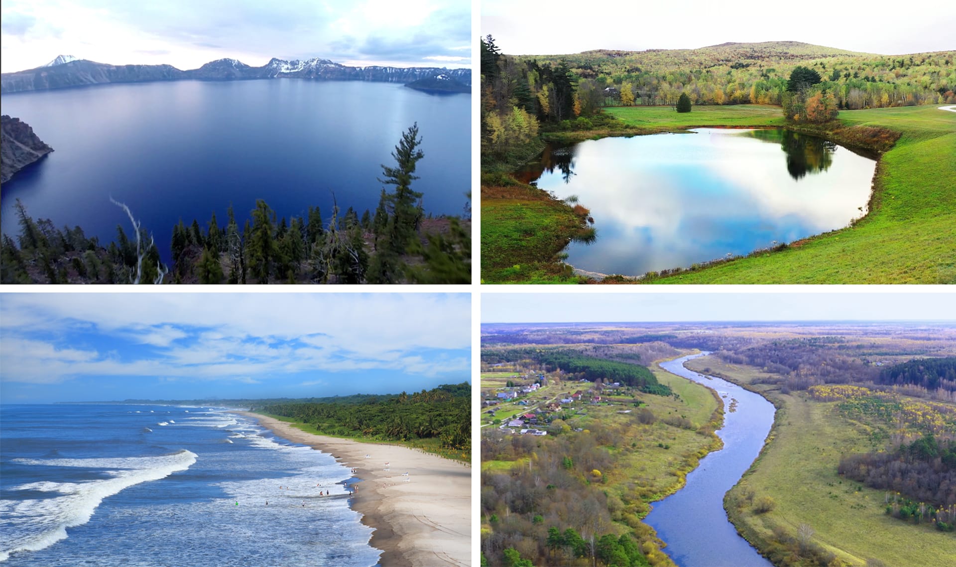 Where do animals find the water they need?