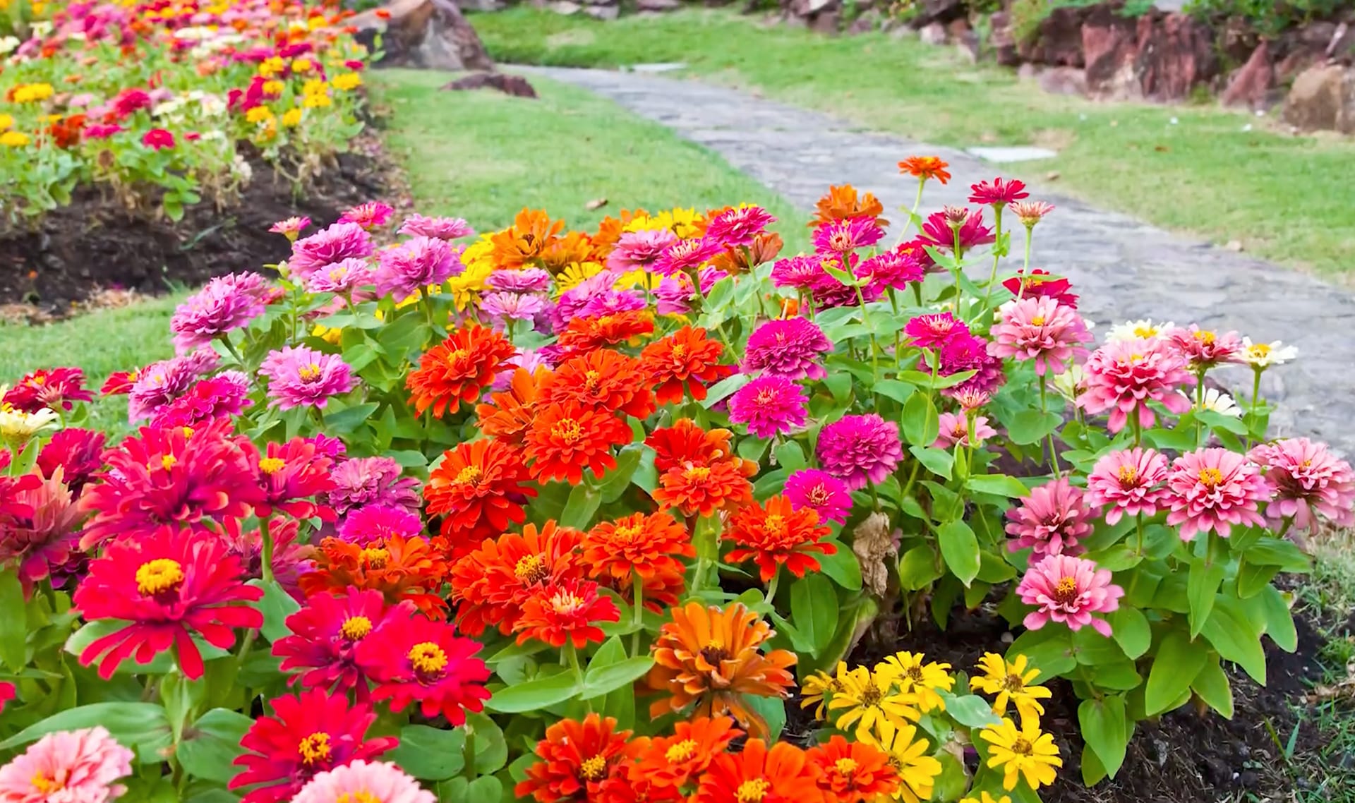 Why do birds lay eggs in the spring?