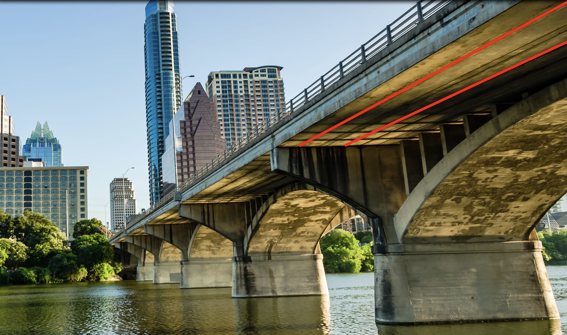 Where else do bats live?