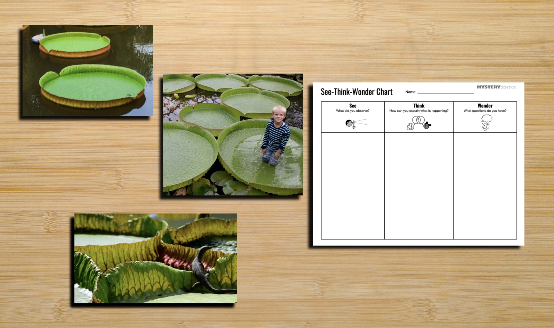 Unidentified Floating Objects