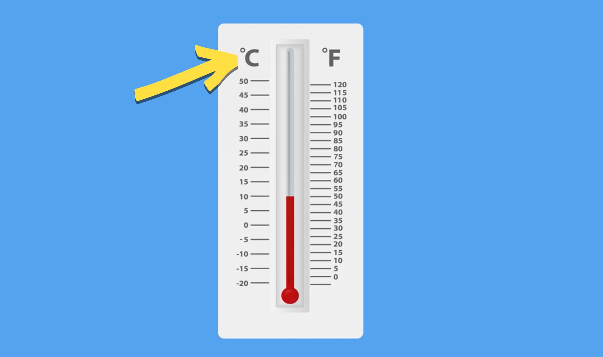 Where's the best place to build a snow fort?