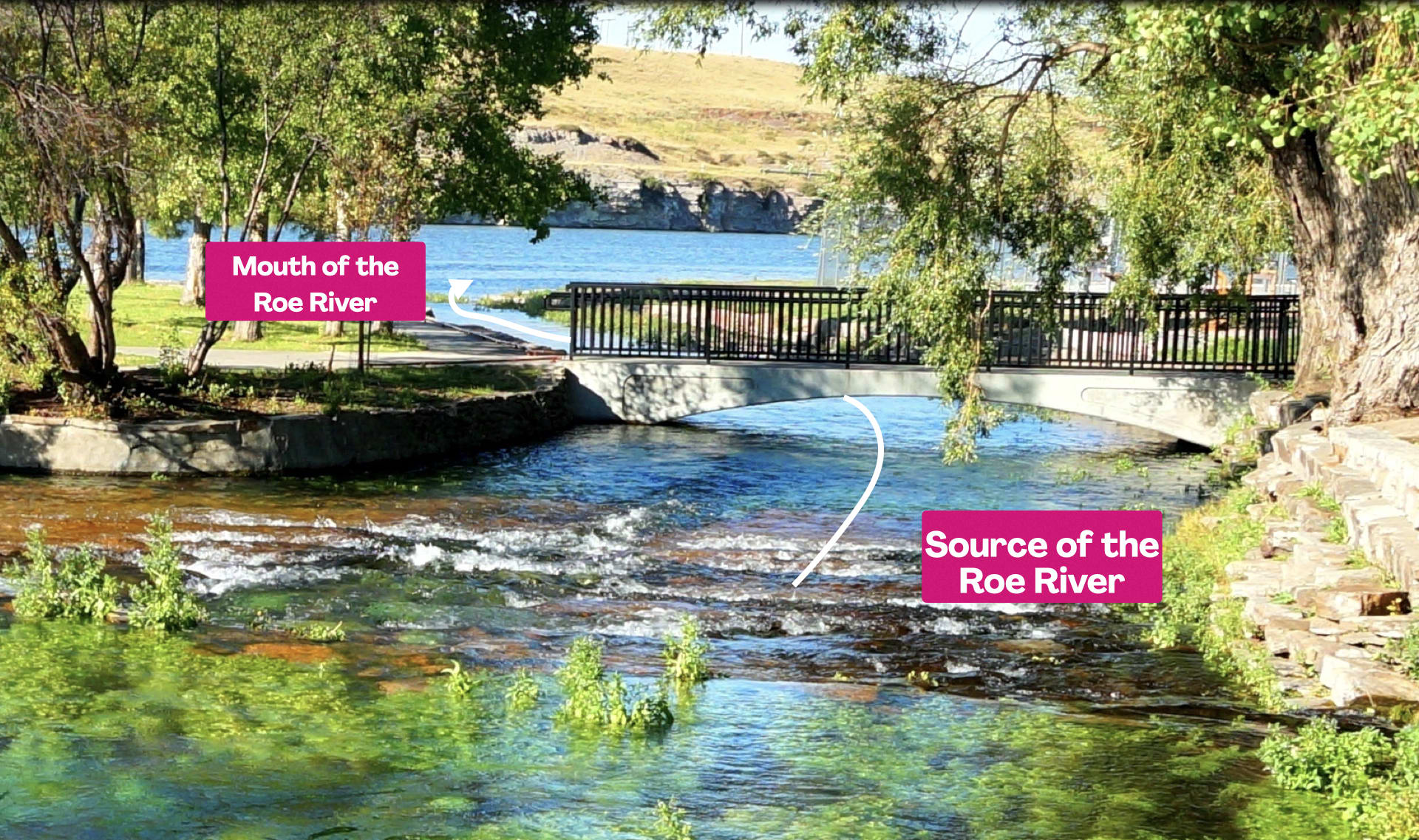 How long is the shortest river?