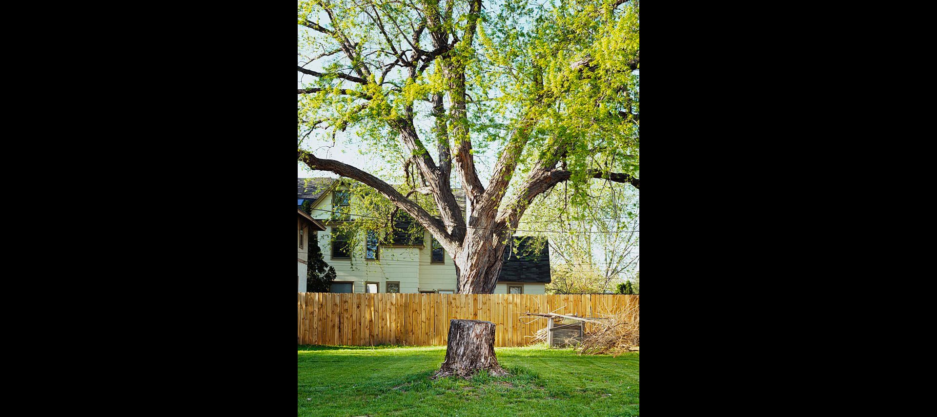 How do optical illusions trick us? - Mystery Science