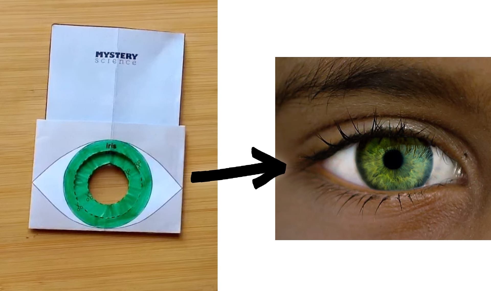 What do people who are blind see?