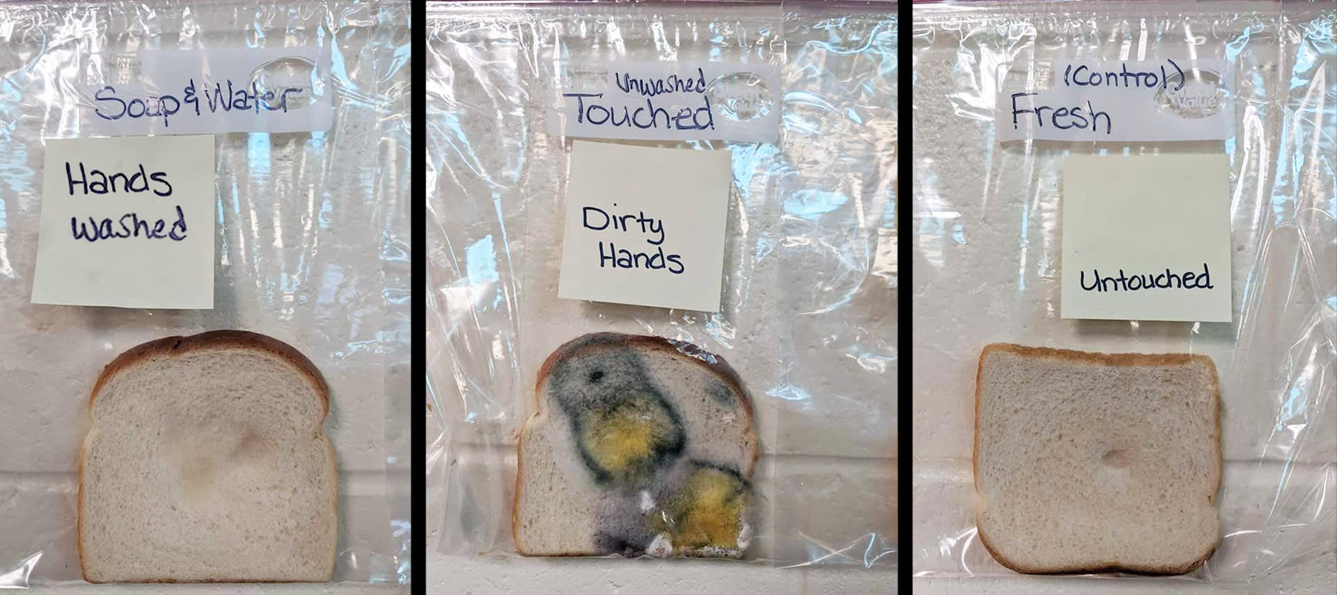 How do germs get inside of your body? - Mystery Science