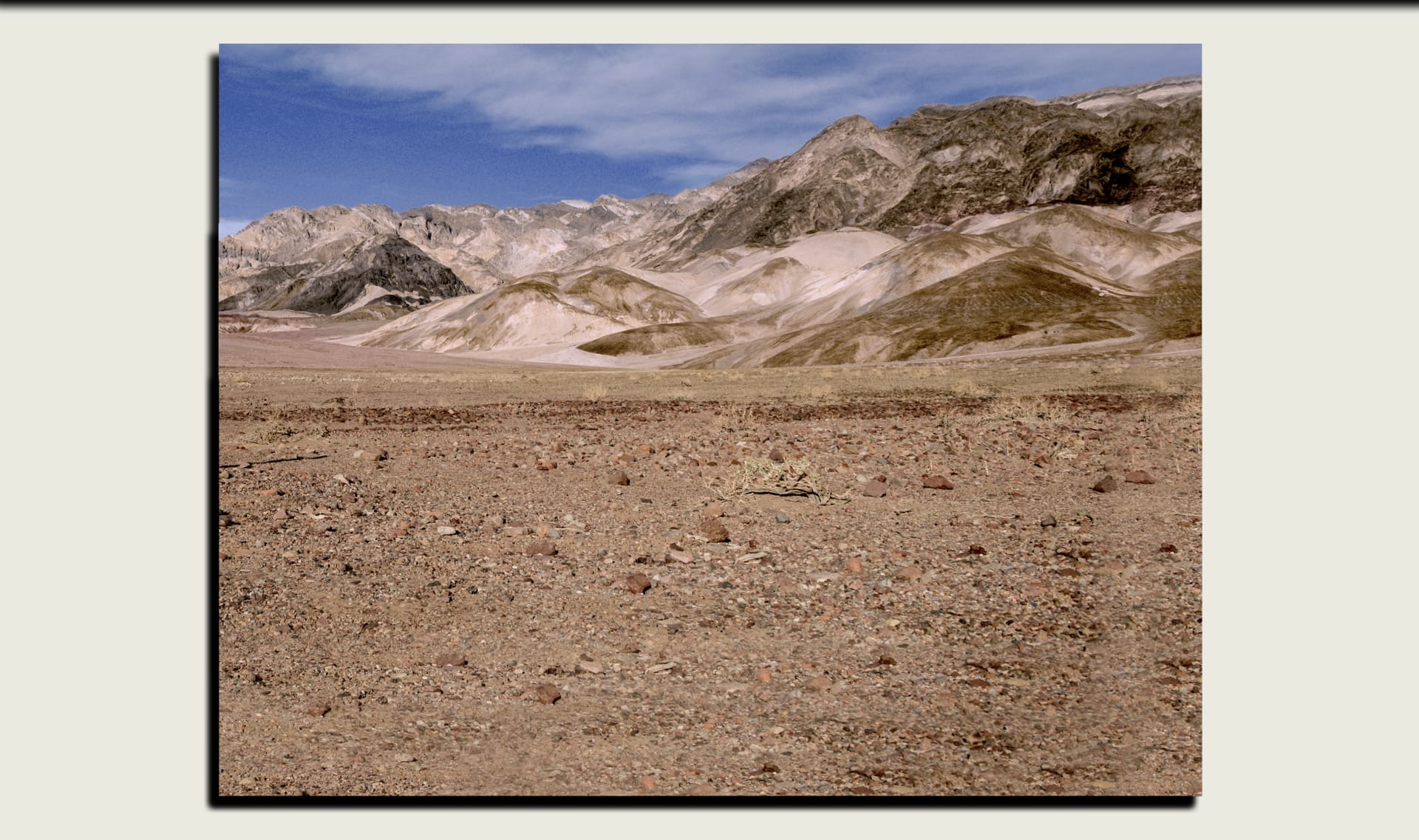 How can anything live in Death Valley?