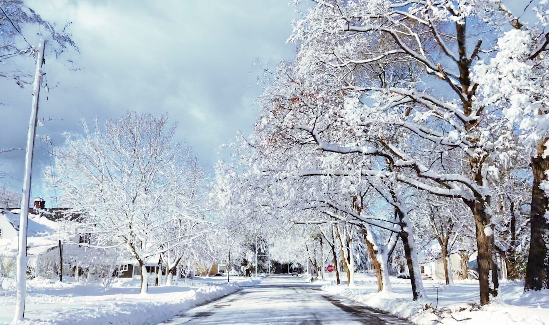 Where's the best place to build a snow fort?