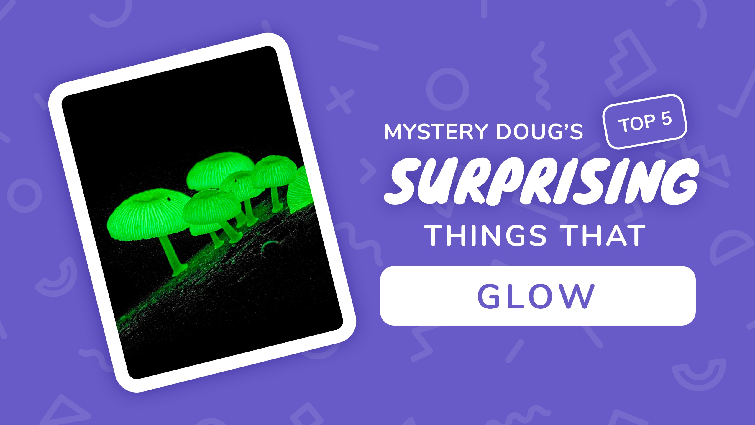 What causes the Northern Lights? - Mystery Science