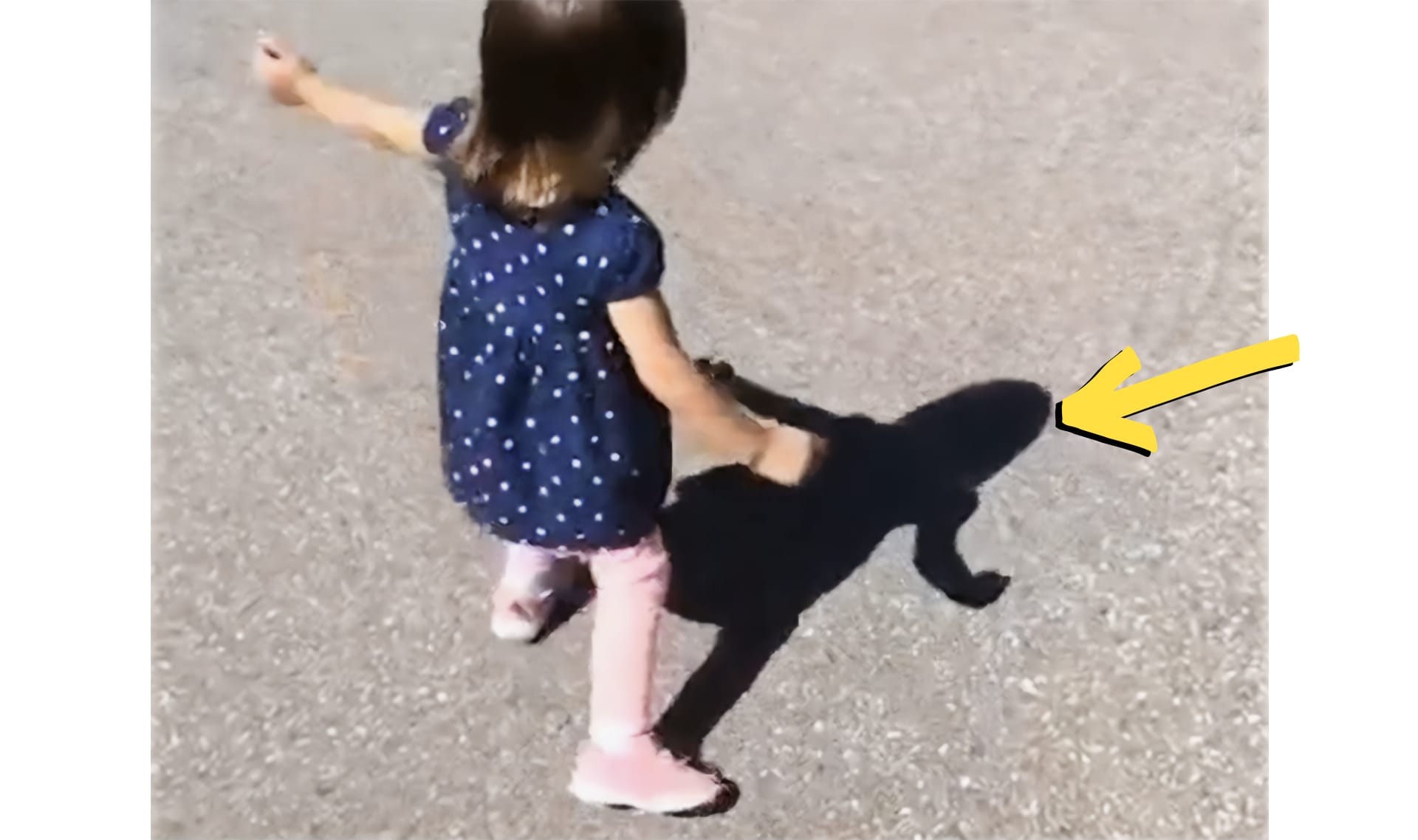 Could a statue's shadow move?