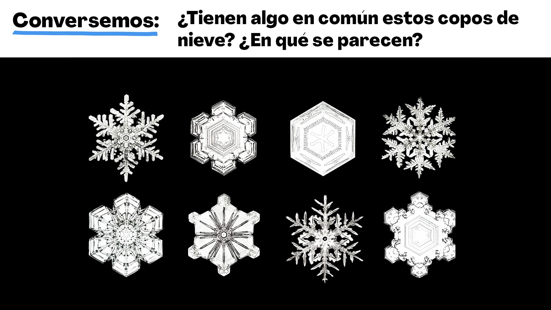 Is every snowflake different? - Mystery Science