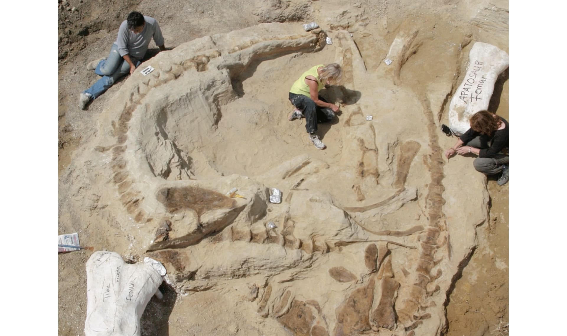 Can you outrun a dinosaur?