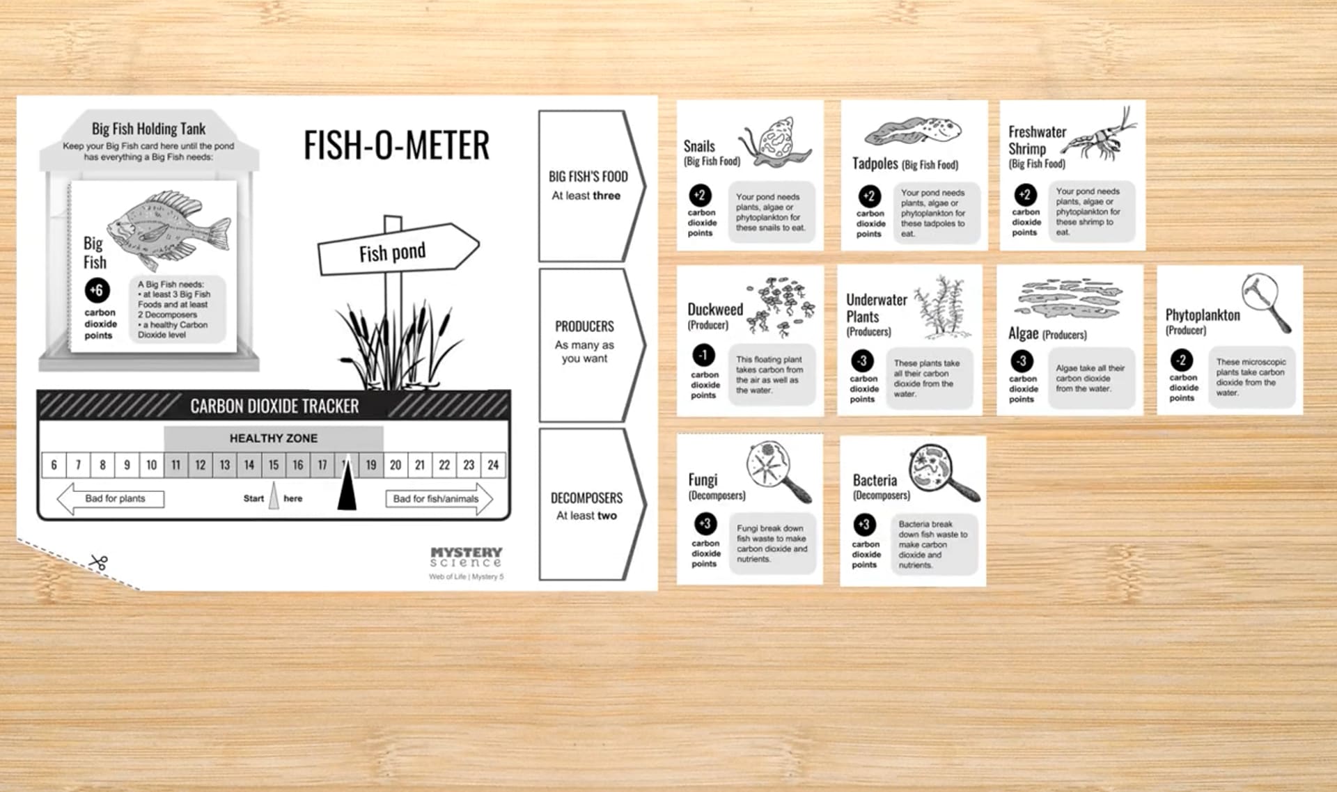 Why do you have to clean a fish tank but not a pond?