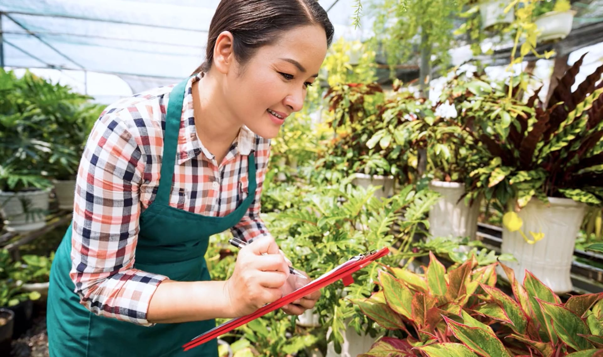 What do plants eat?