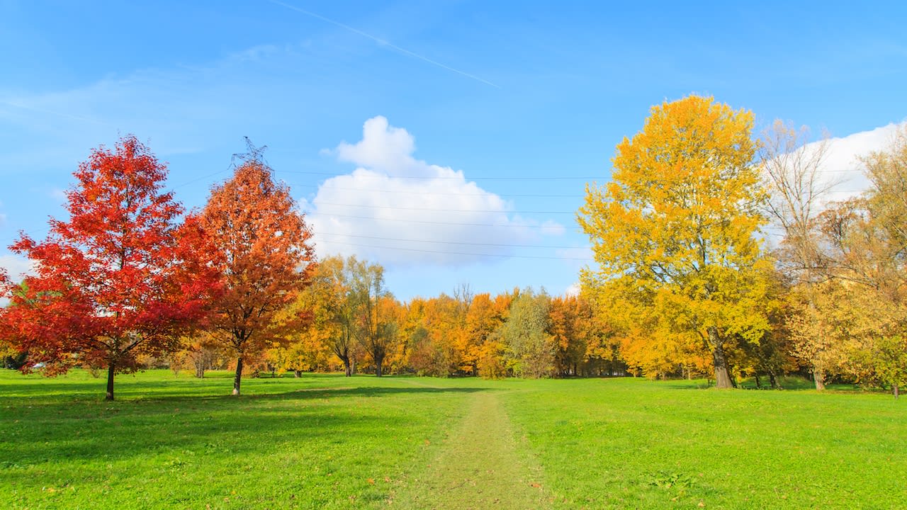 Mystery Science: Lessons for elementary teachers