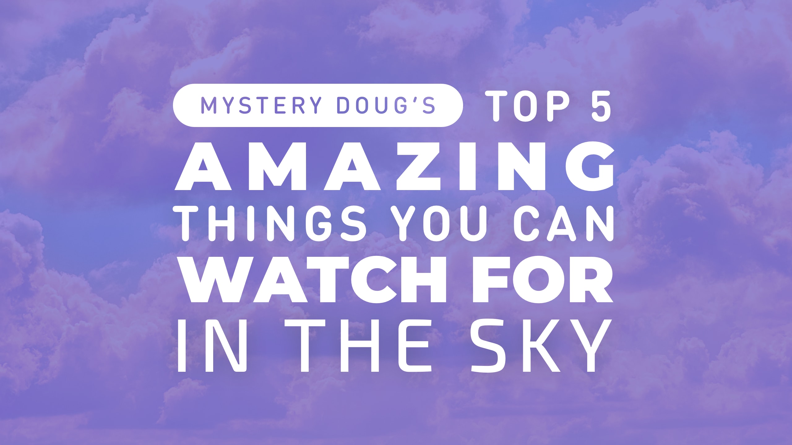 Can animals really predict the weather? - Mystery Science