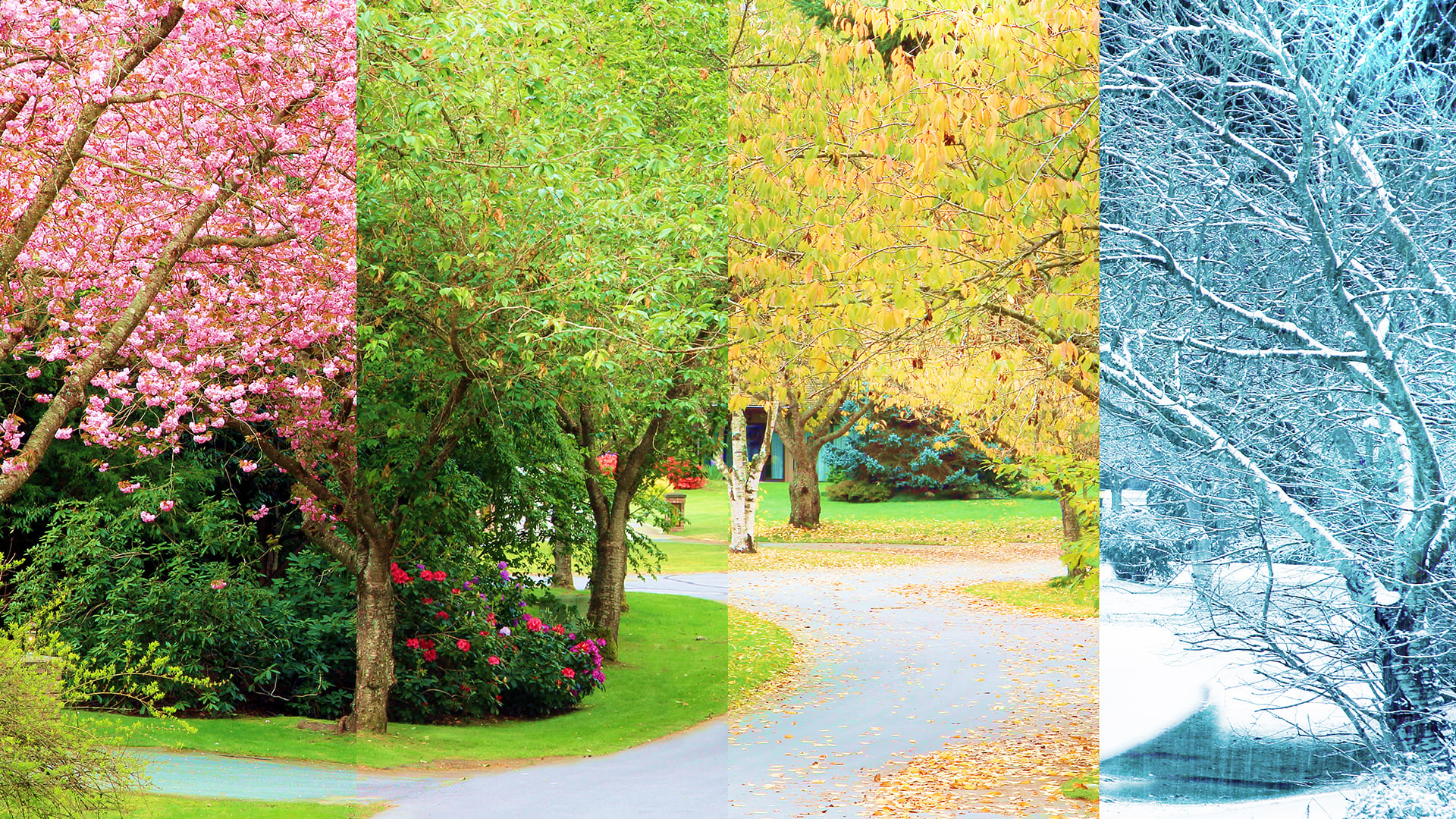 Mystery Science: Lessons for elementary teachers